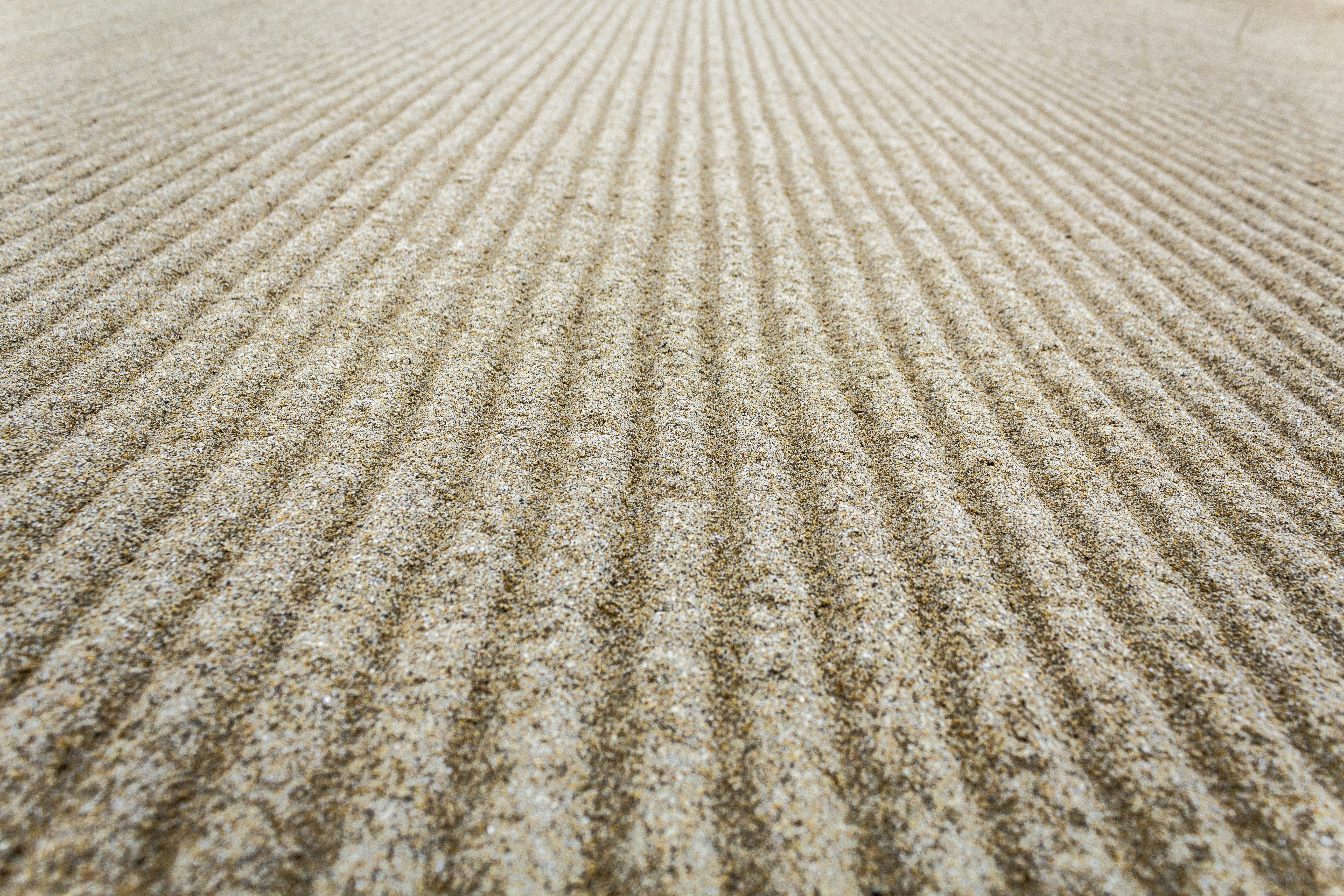 A large area with a lot of sand on it photo – Free Plentzia Image on ...