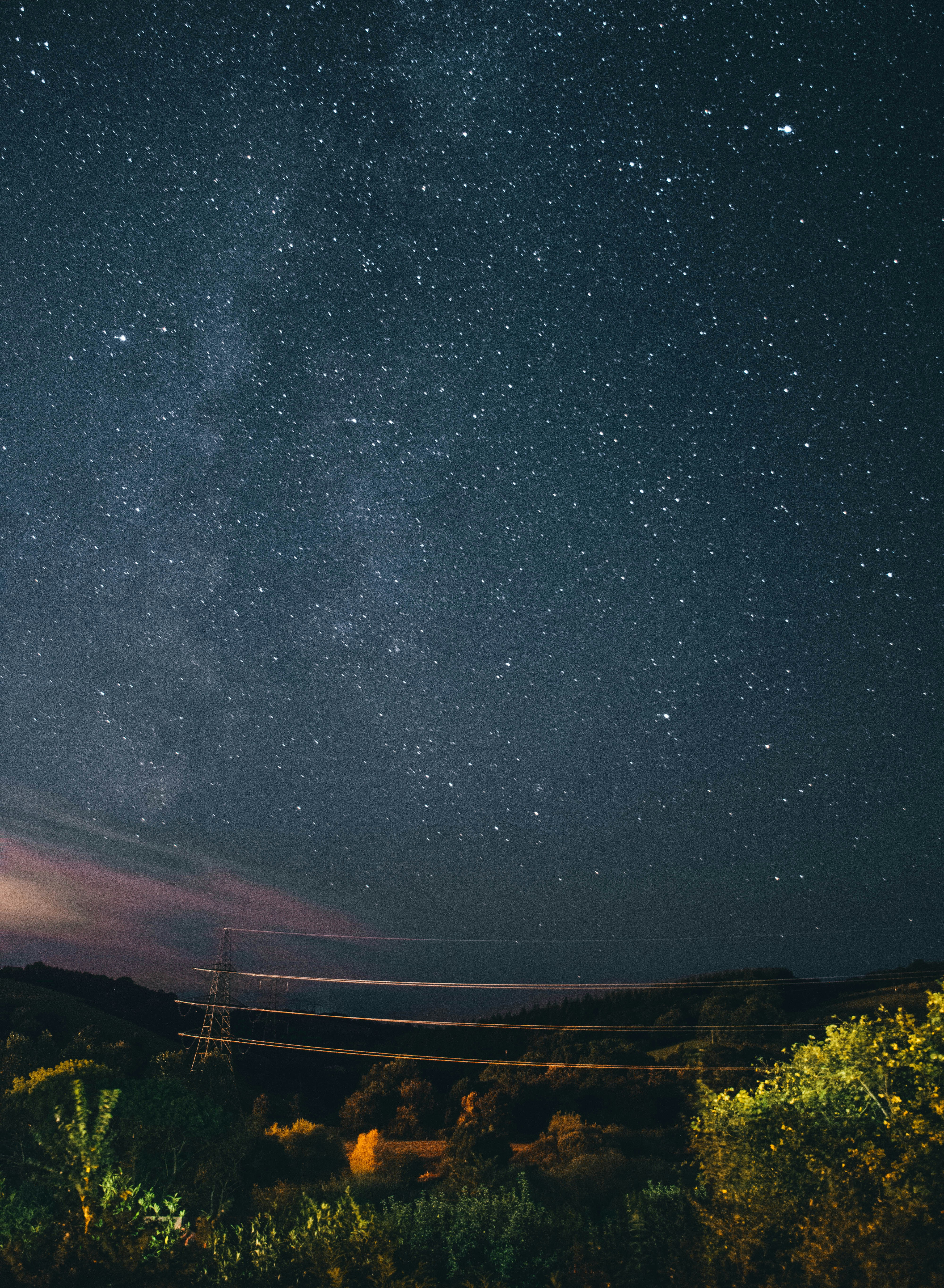 Star-filled night sky above silhouetted trees and power lines, capturing the vastness of the universe. The Milky Way stretches across the scene.