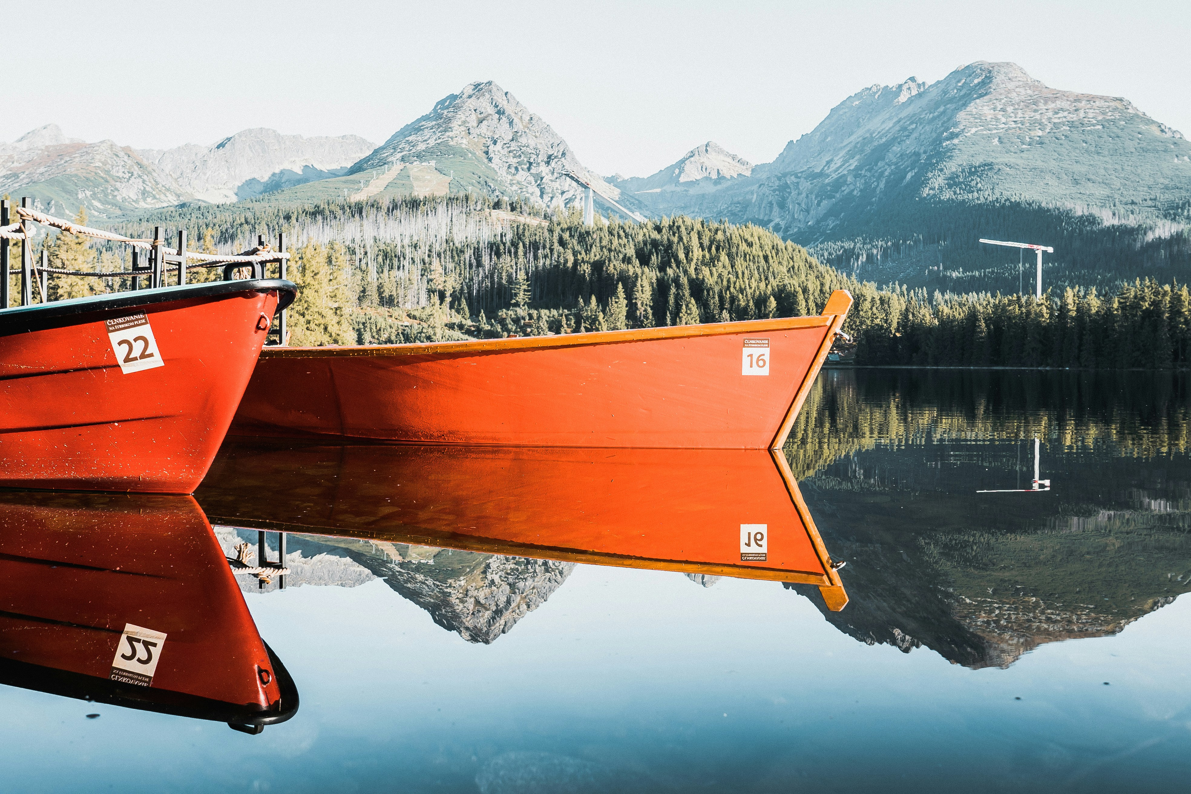 Orange boat near lake surrounded with tall and green trees viewing ...