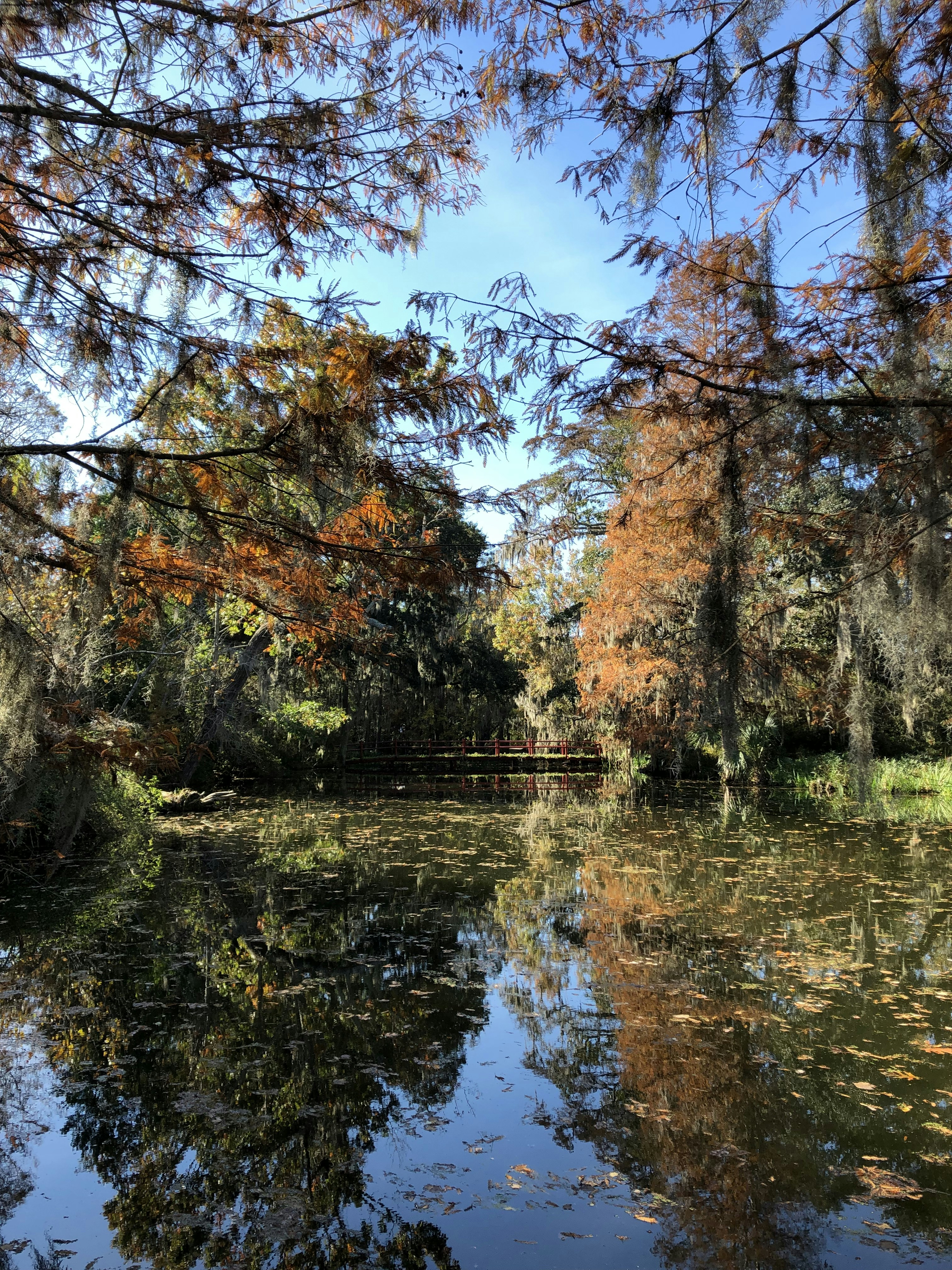 South Carolina | 9 best free southcarolina, usa, sc and outdoor photos ...