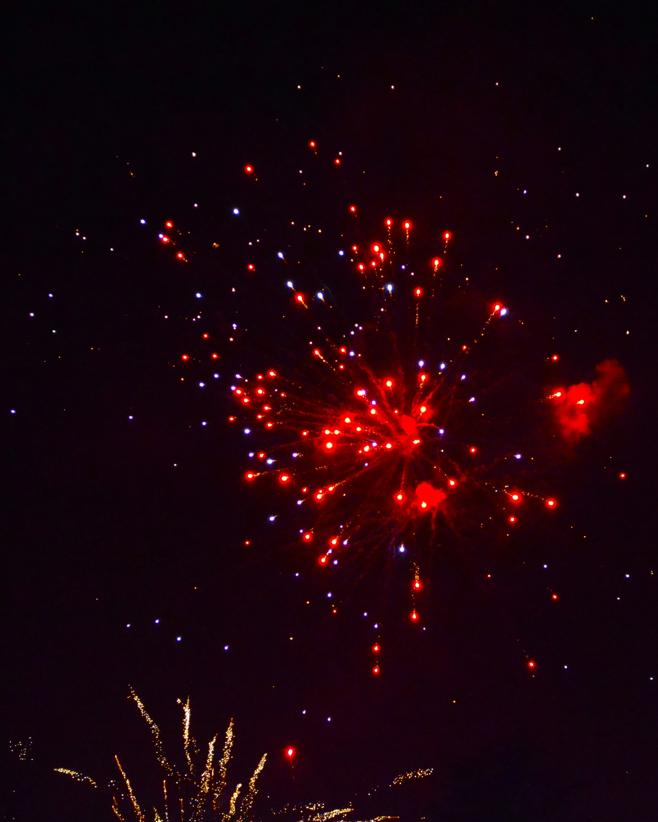 Crimson Firework Bloom Over Velvet Night Sky