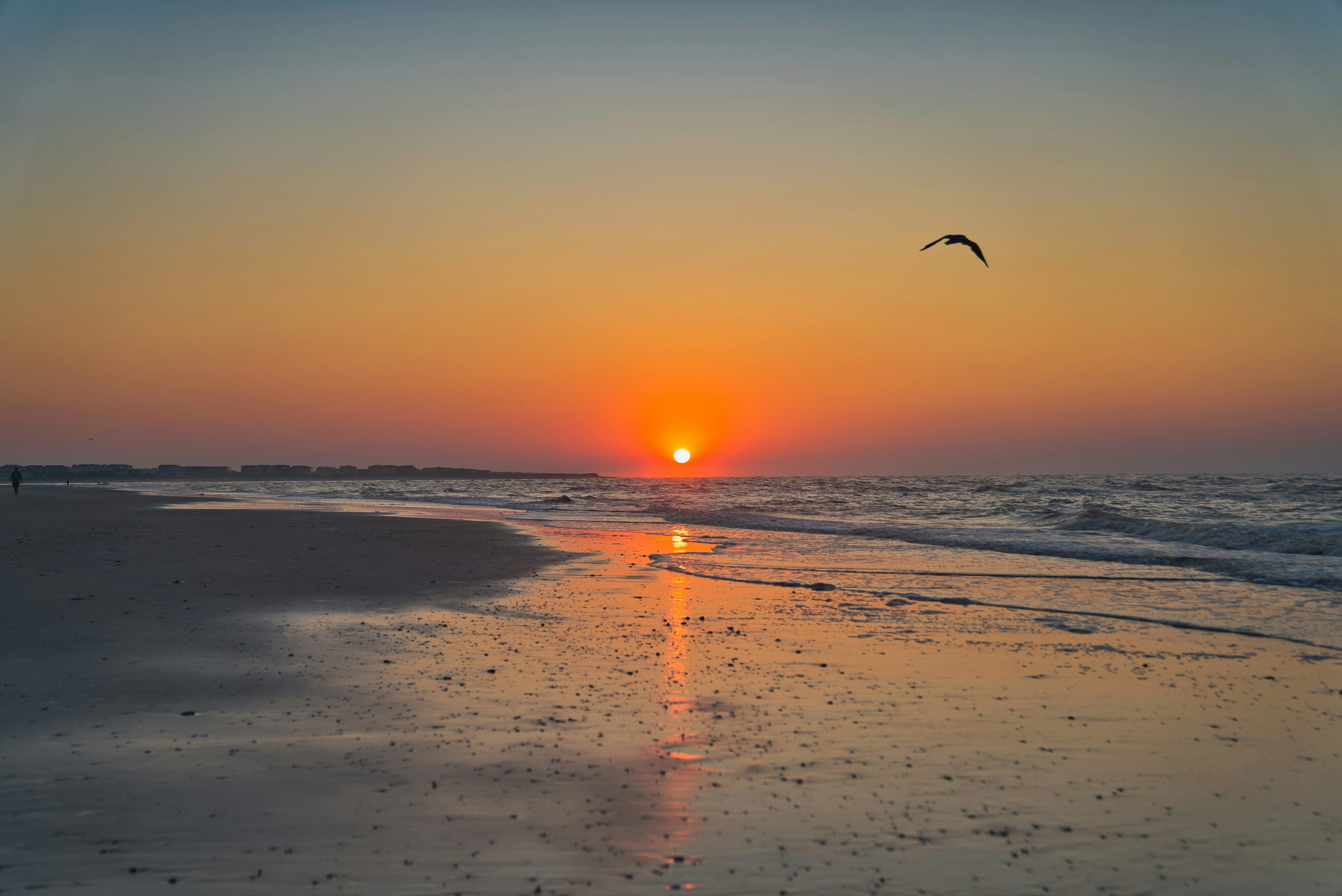 Bird soaring across a radiant sunrise at Ocean Isle Beach with reflections on wet sand.