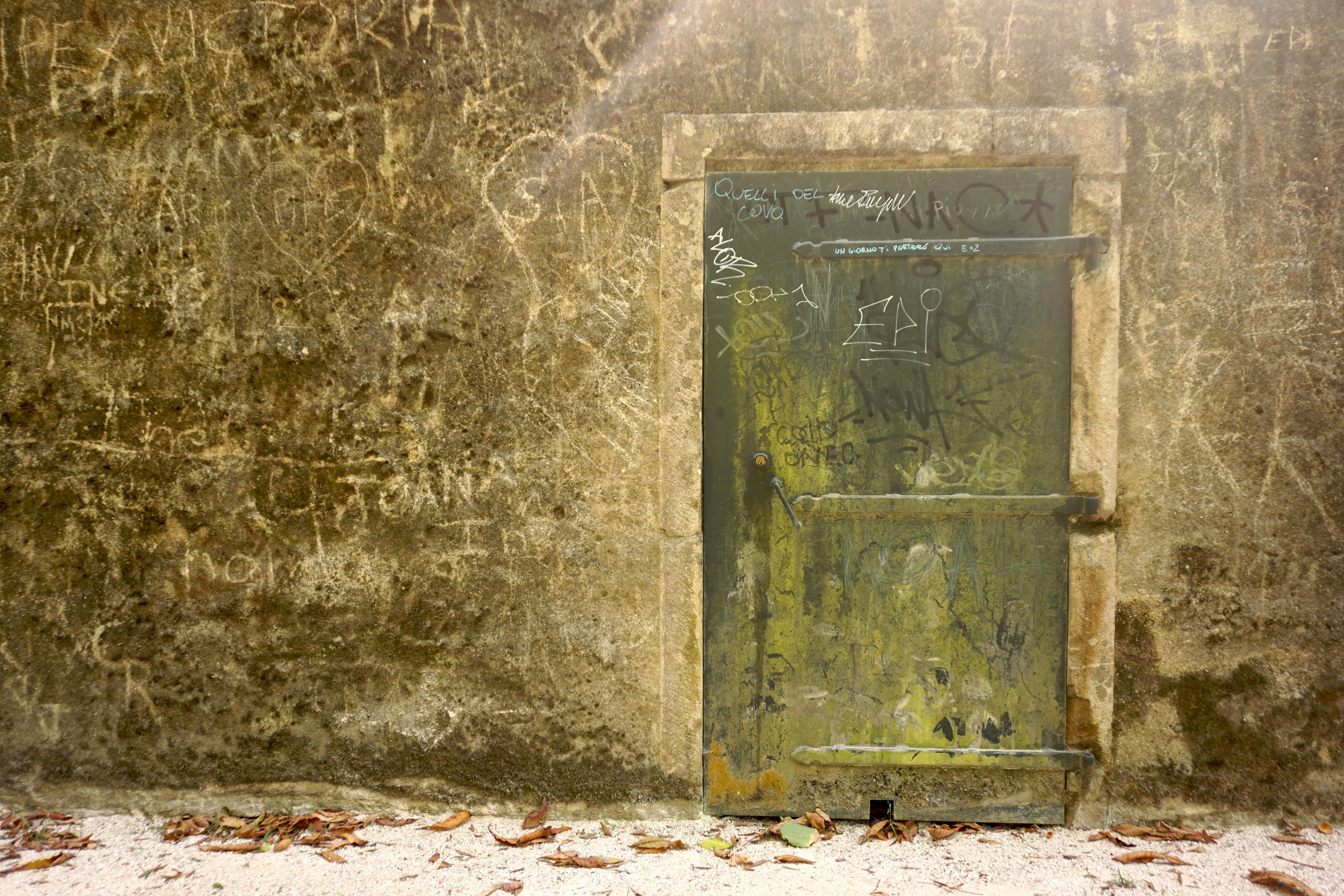 Tim van Cleef (@_timvancleef) | Comunidade de fotos da Unsplash