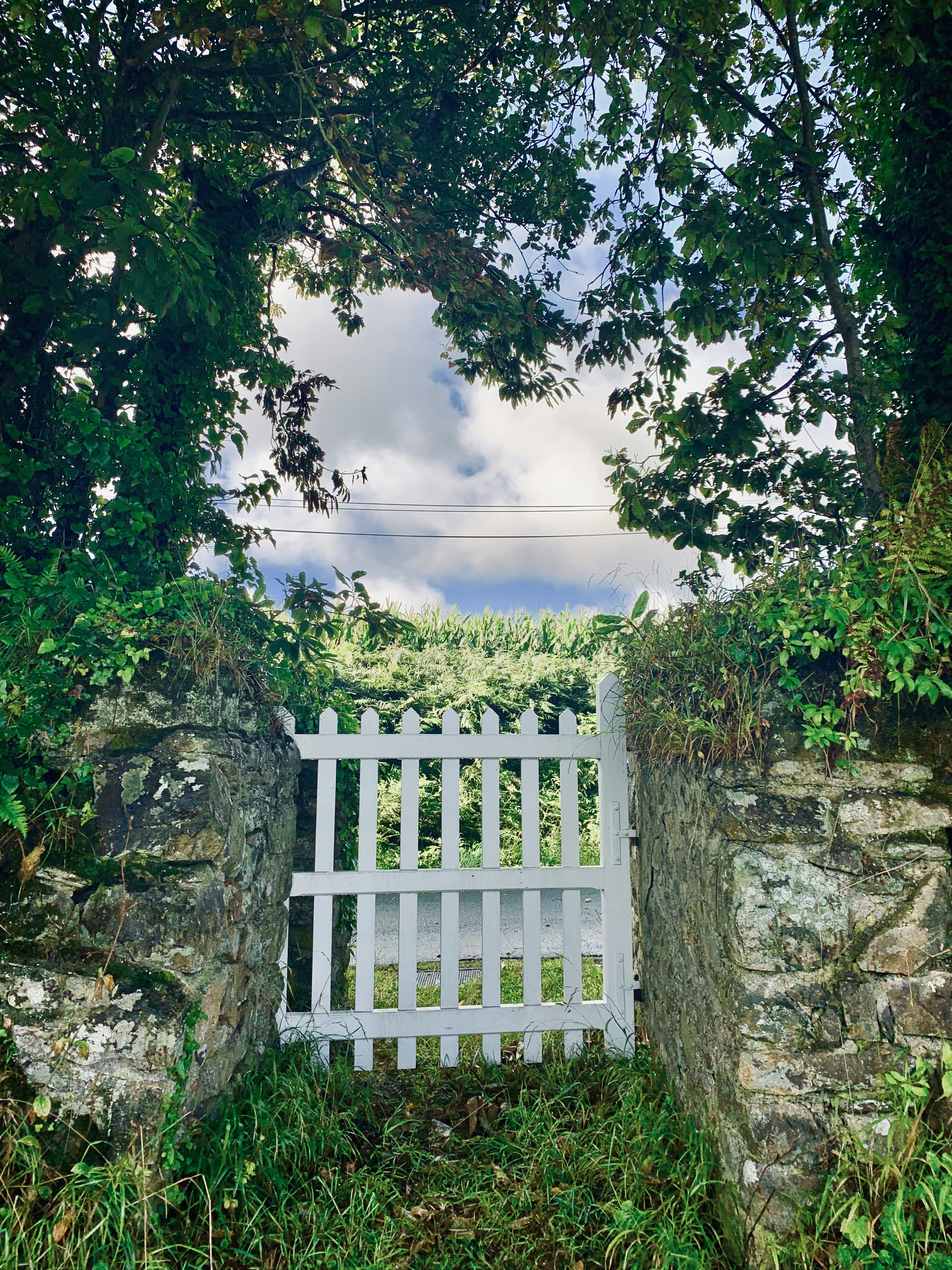 A Quiet Portal: White Gate Framed by Stone and Vines