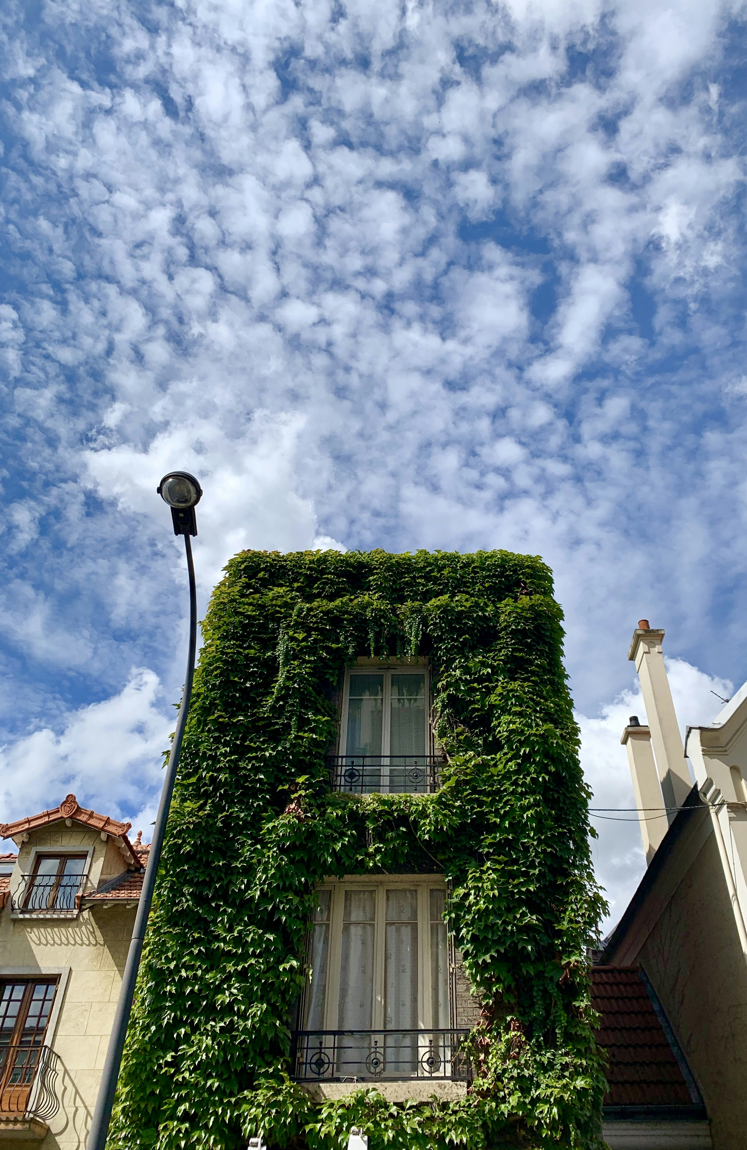 Ivy Veil on a Narrow House Under a Cloud-Dappled Sky