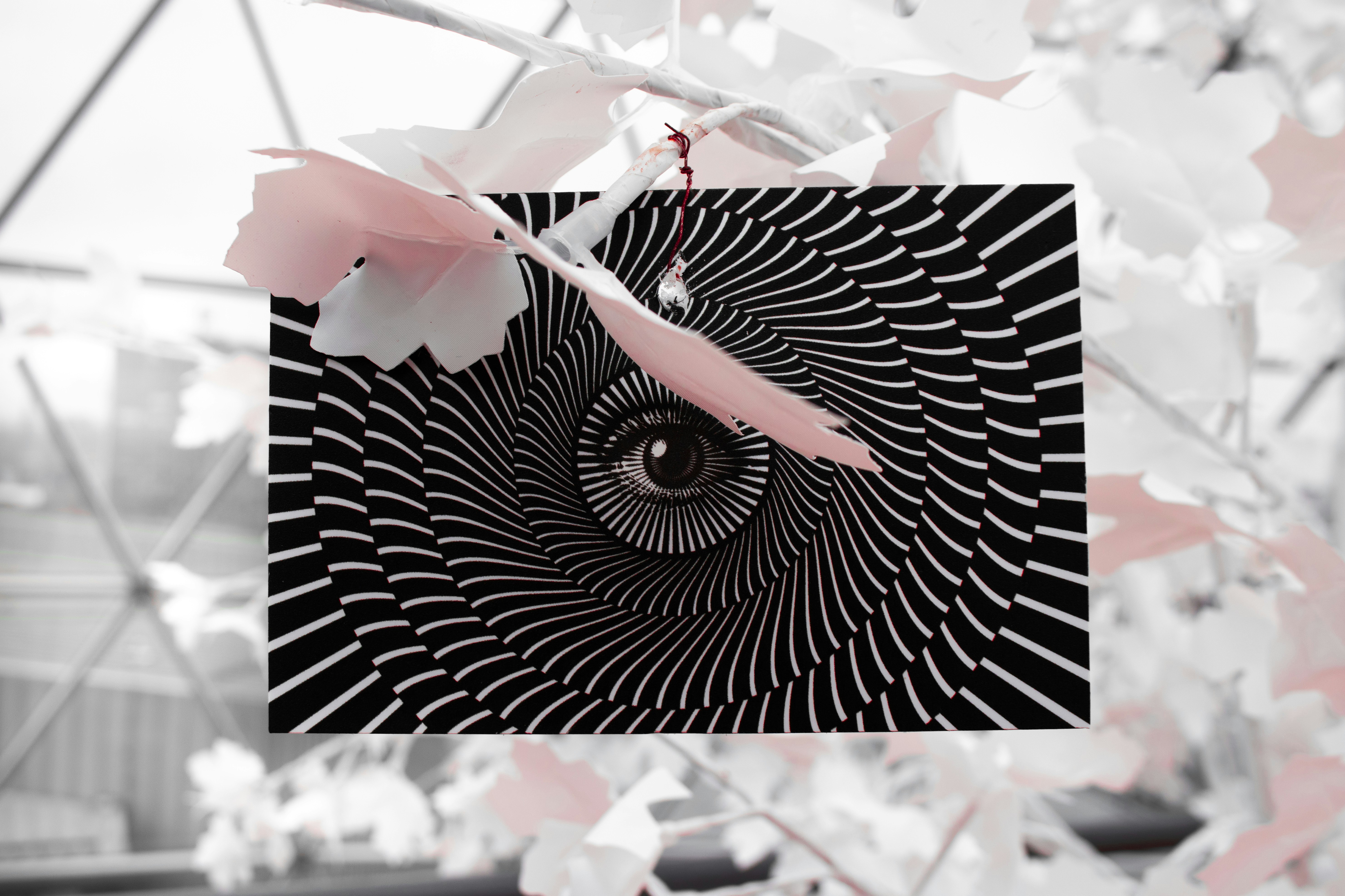 white and pink paper flower on black and white eye art decor
