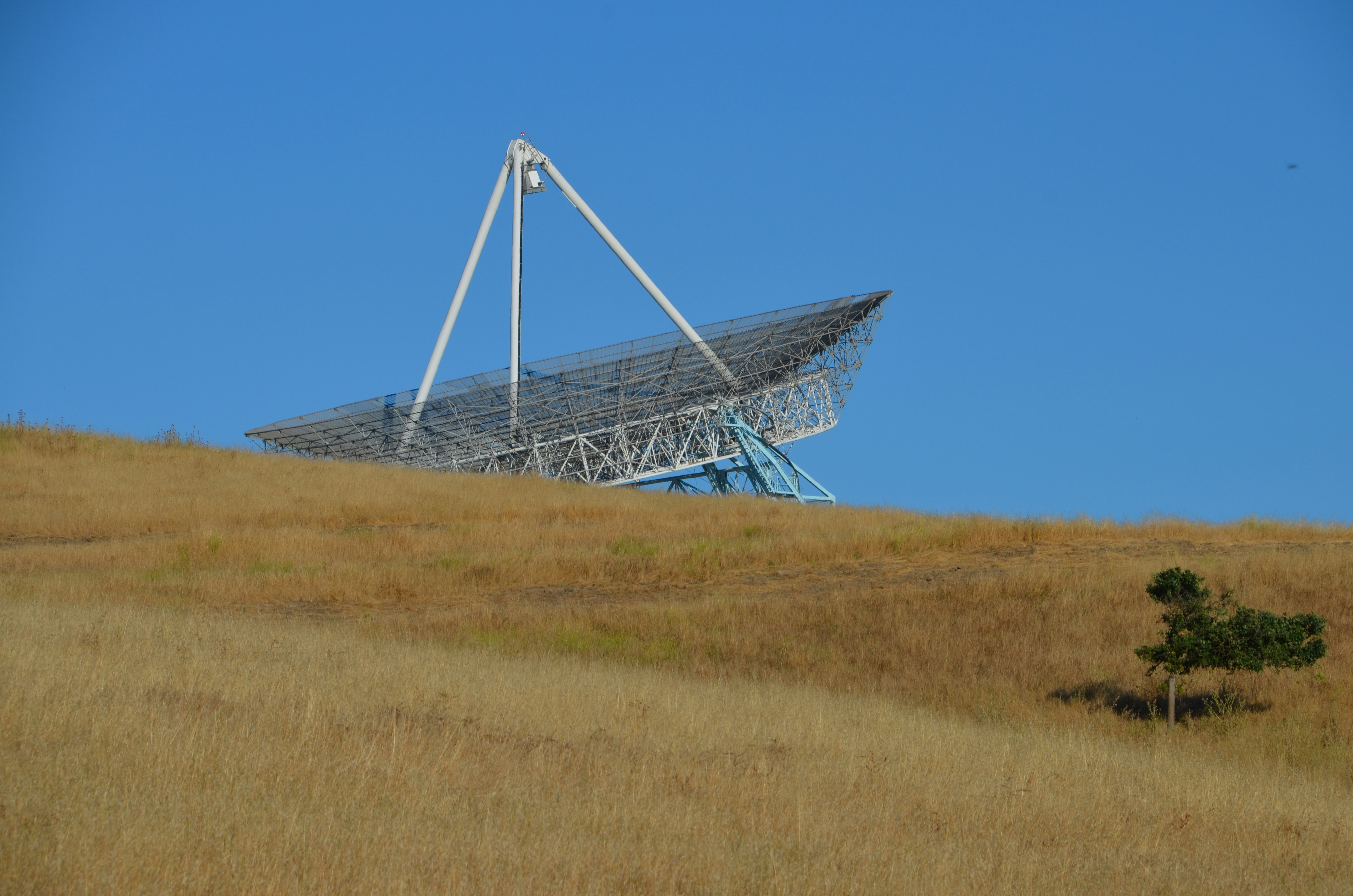 Lattice Sentinel on the Golden Hill under a Clear Blue Sky