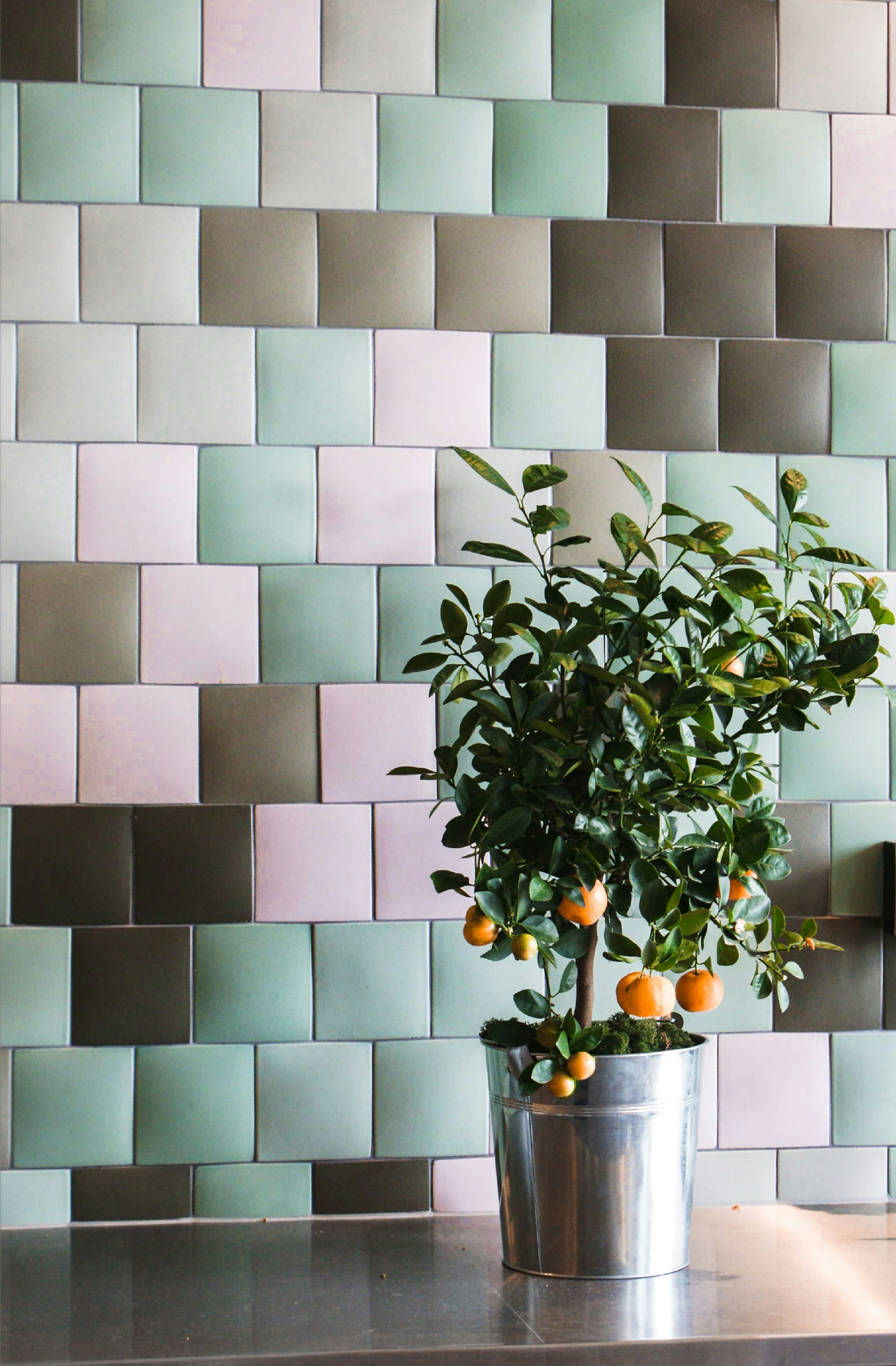 A vibrant potted citrus tree adorned with ripe oranges stands against a textured wall of pastel tiles, adding a lively contrast to the setting.