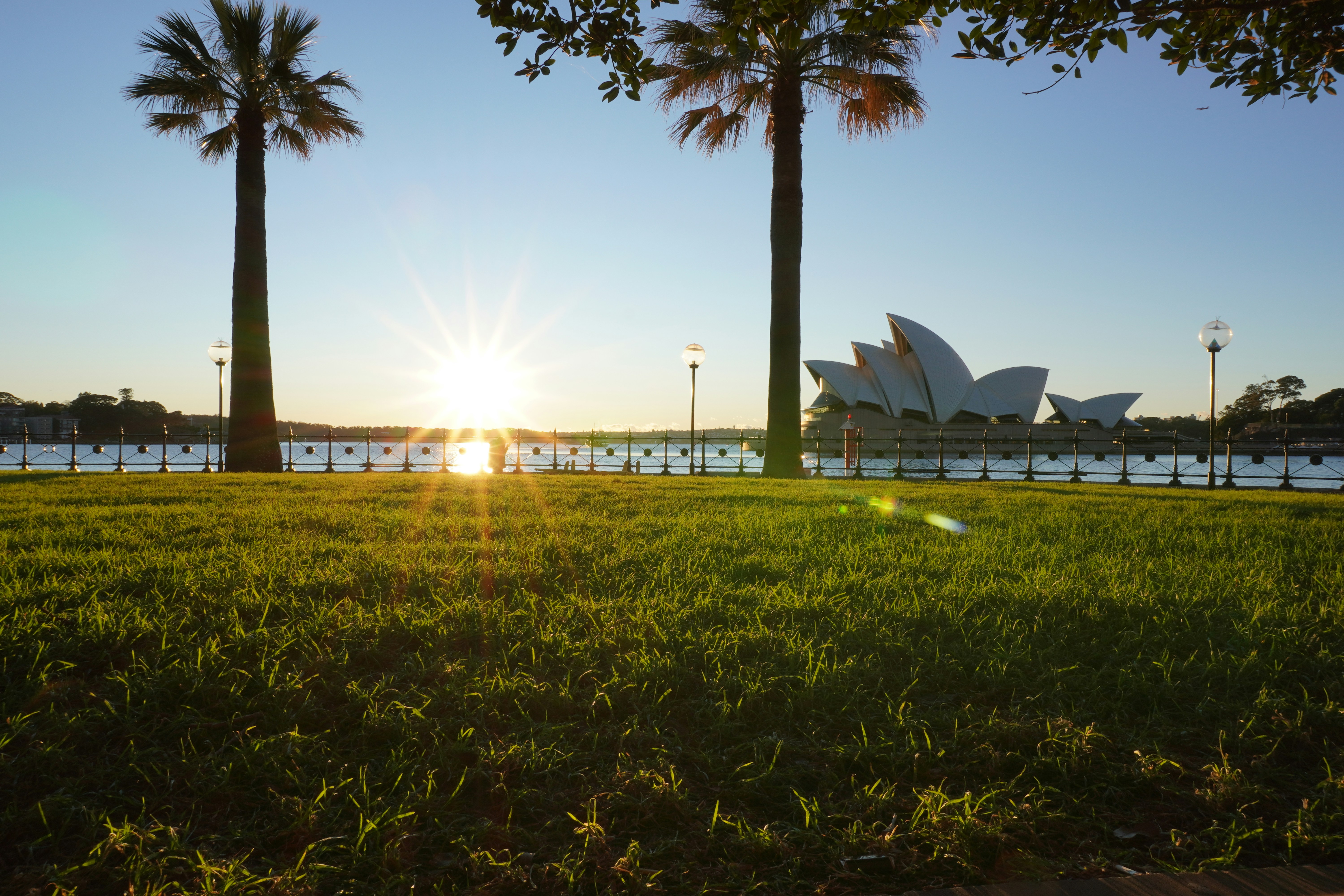 Sunrise Over a Palm-Lined Park Framing Sydney Opera House