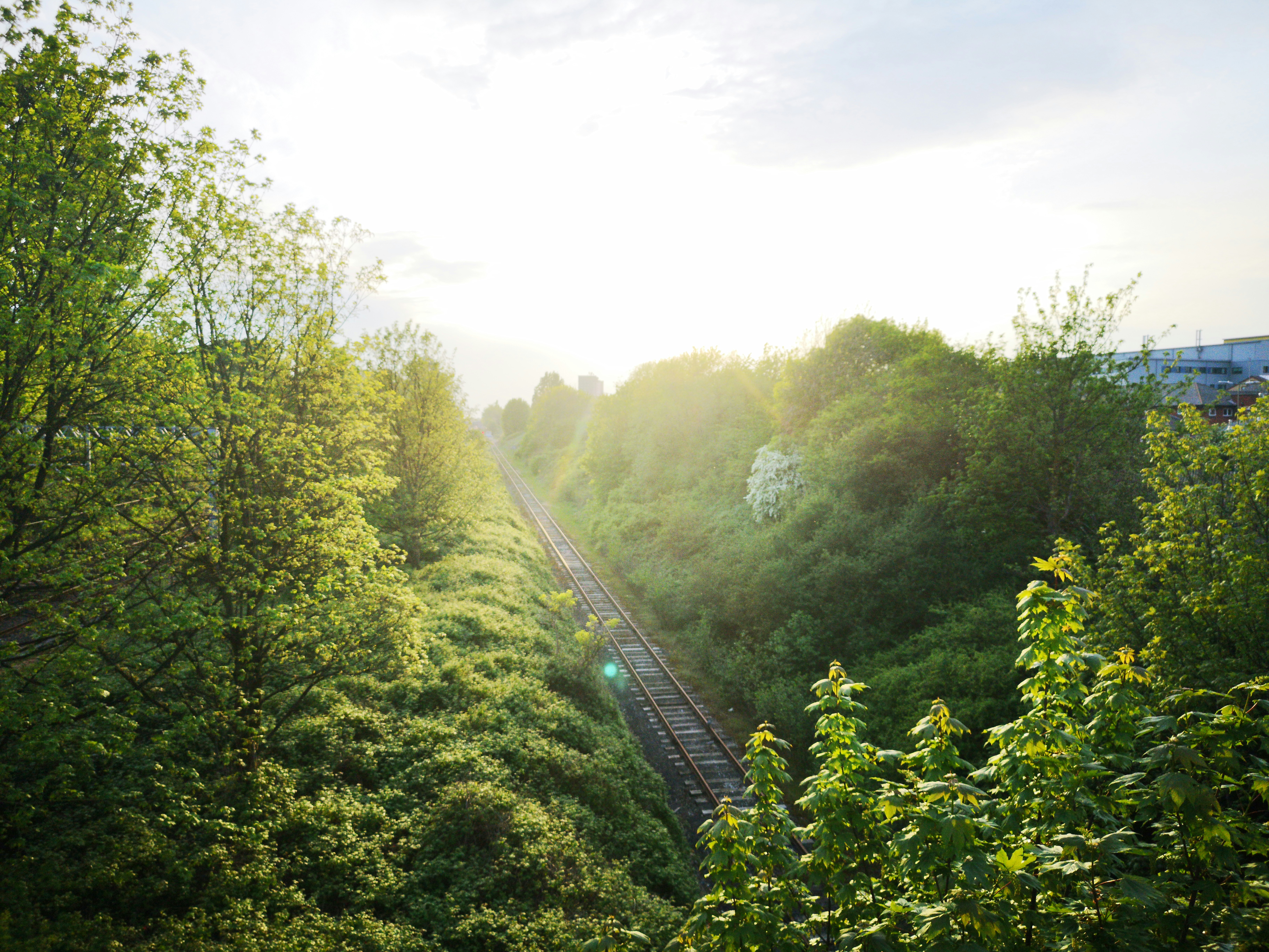 Chemin de fer entre les arbres photo – Photo Voie ferrée Gratuite sur ...