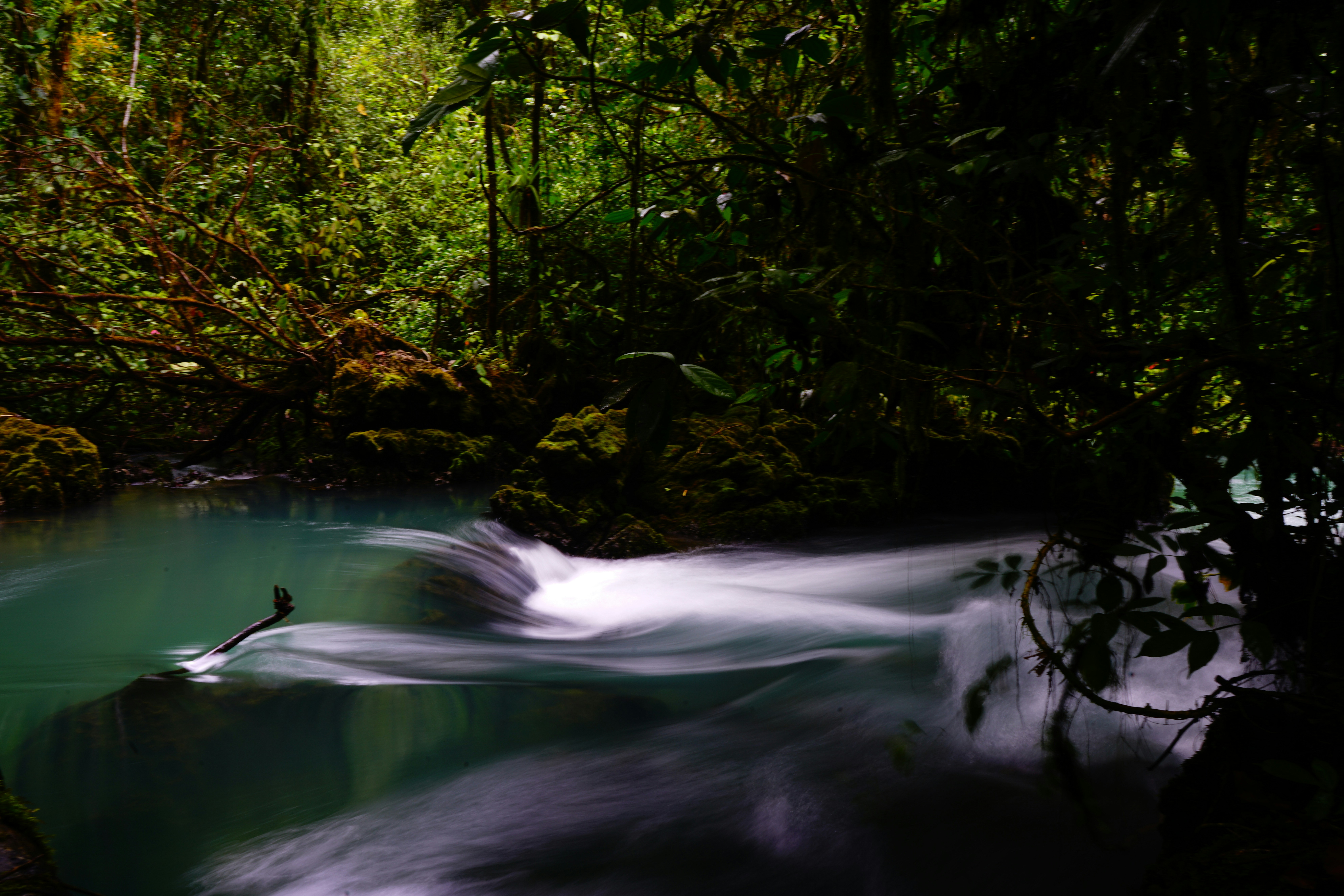 Emerald Stream: Velvet Motion Through the Forest