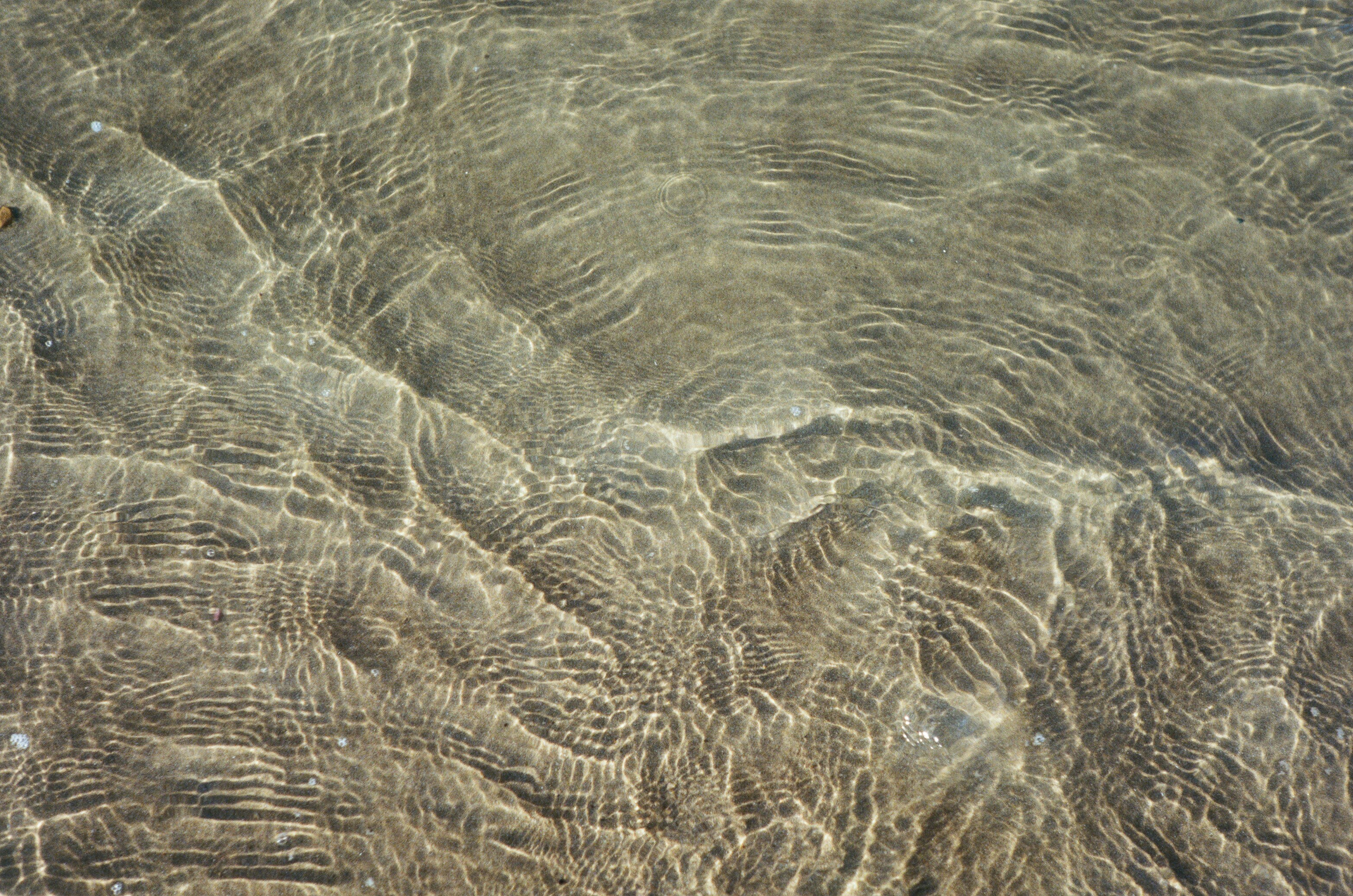 A close up view of water and sand at the beach photo – Free Brown Image ...