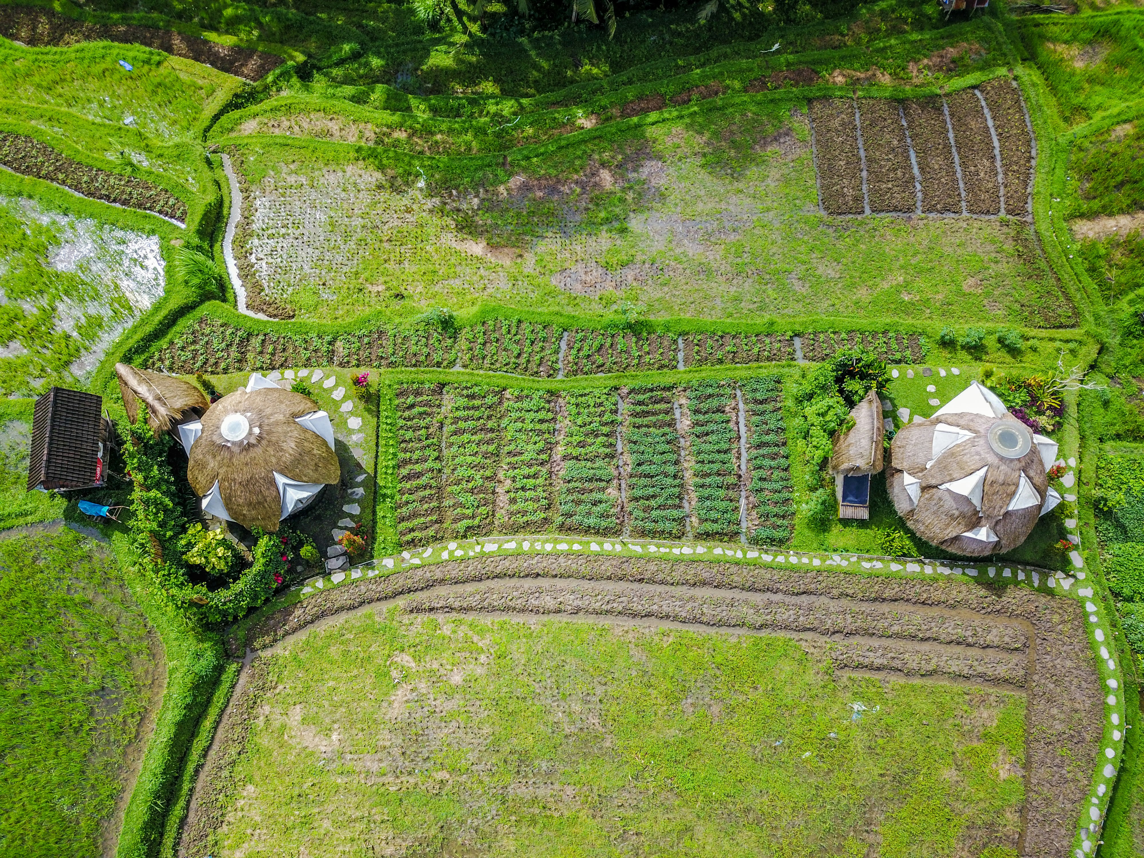 Aerial view of two unique, thatched-roof structures surrounded by lush, patterned farmland and vibrant greenery. The layout showcases a harmonious blend of nature and human design.