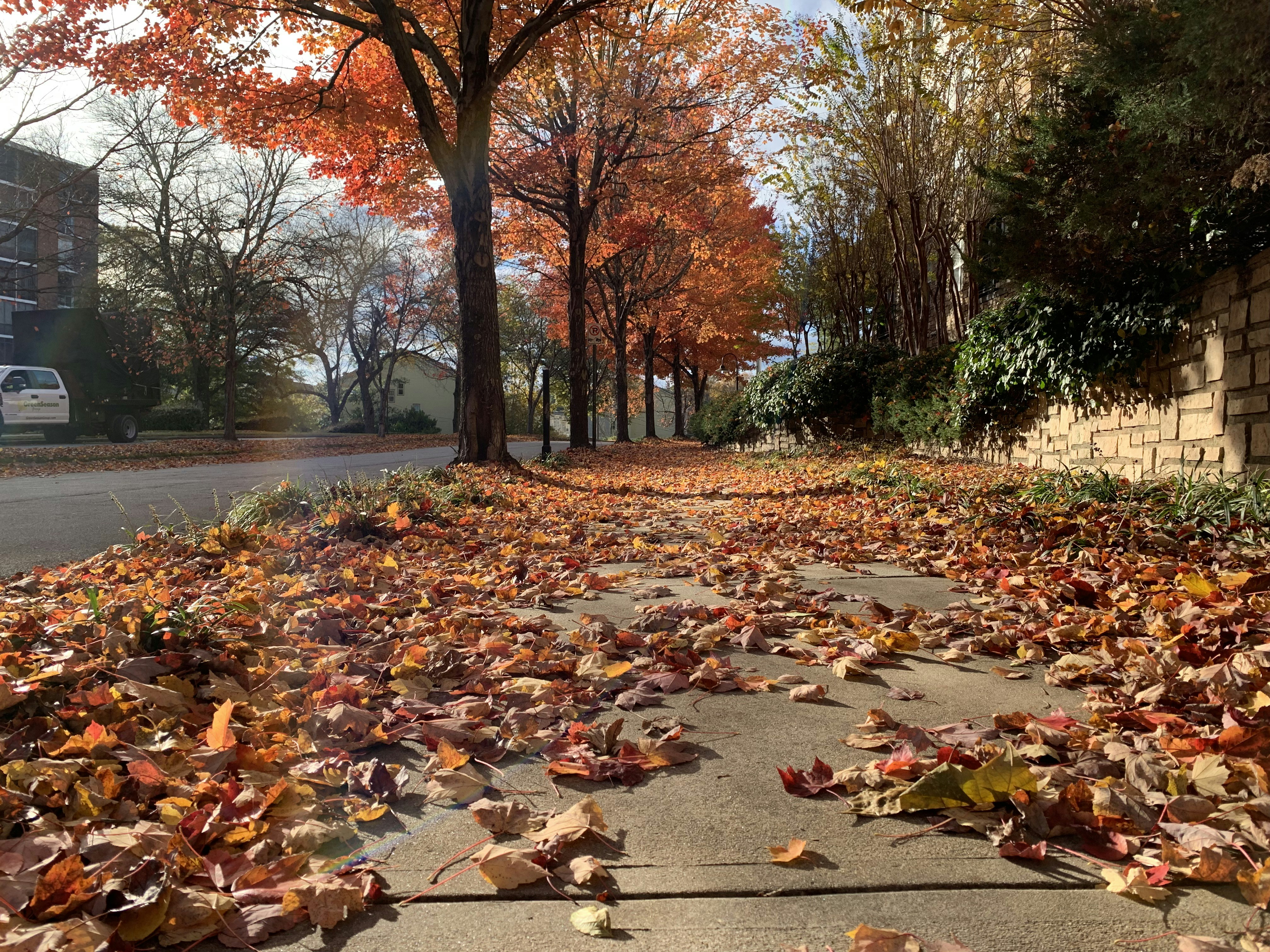 Falling leaves on sidewalk at daytime photo – Free Brown Image on Unsplash
