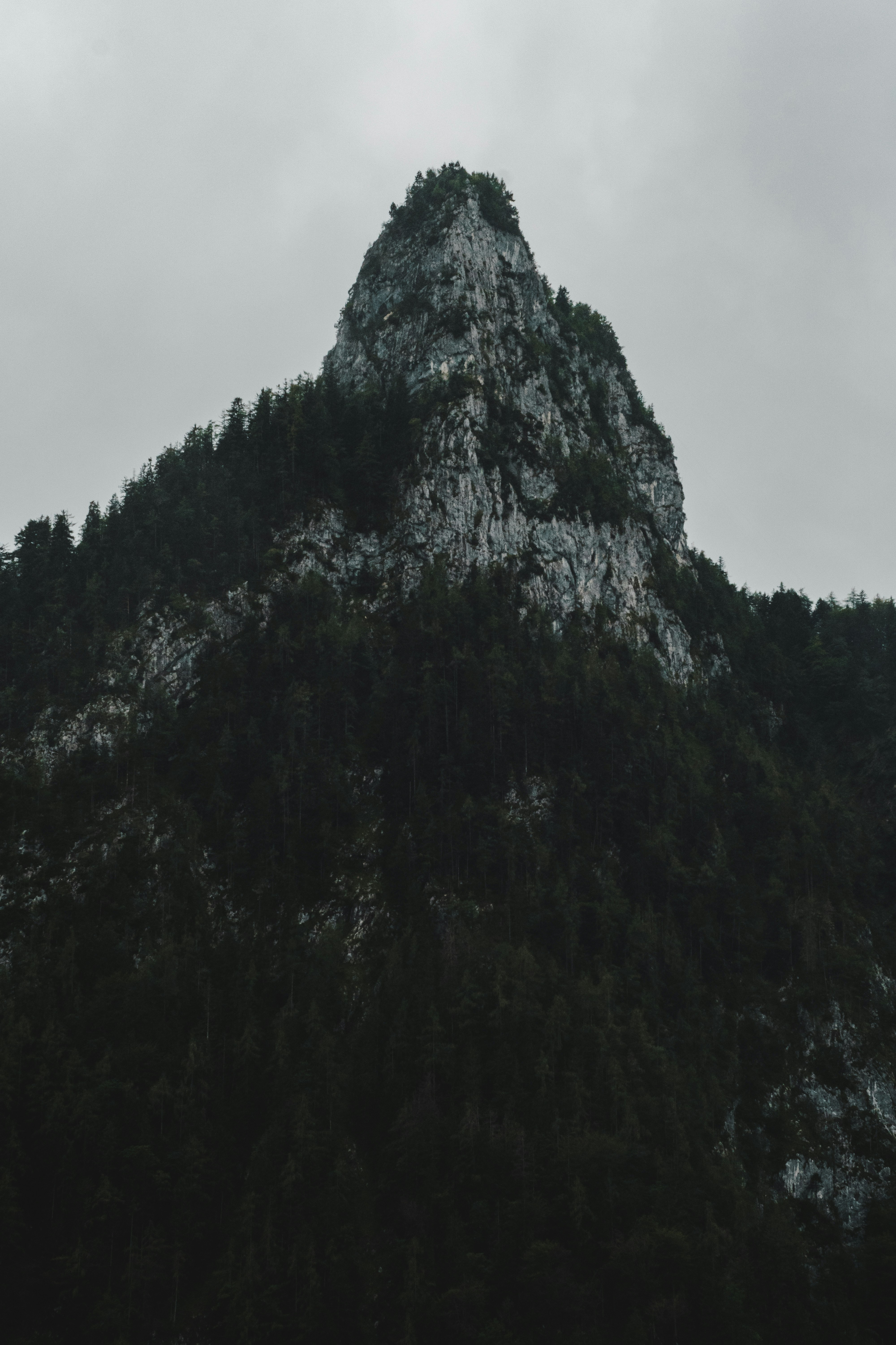Jagged mountain peak rising above dense forest under a cloudy sky.