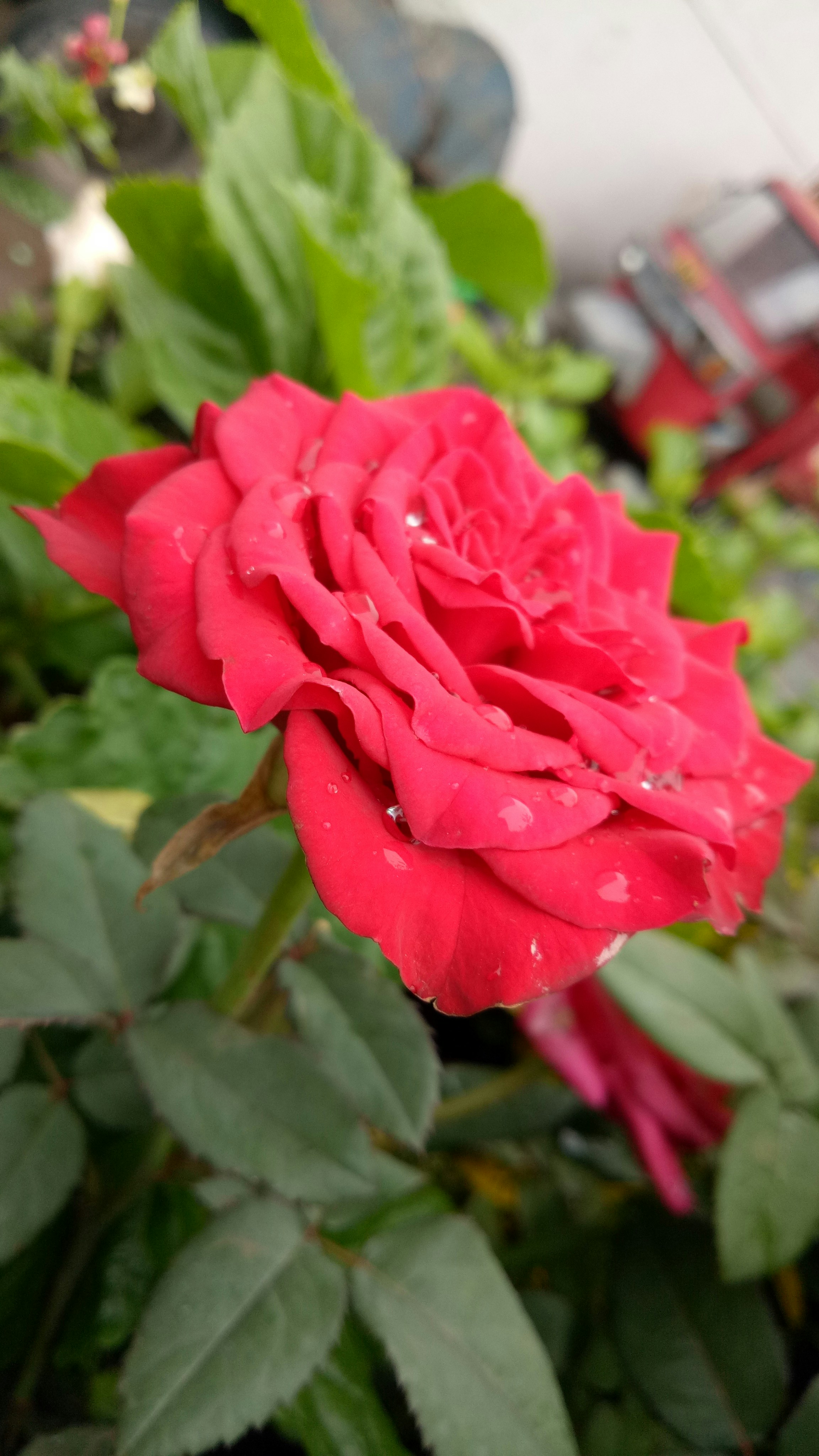 Pritesh Ugale (@pritesh10) | Unsplash Photo Community