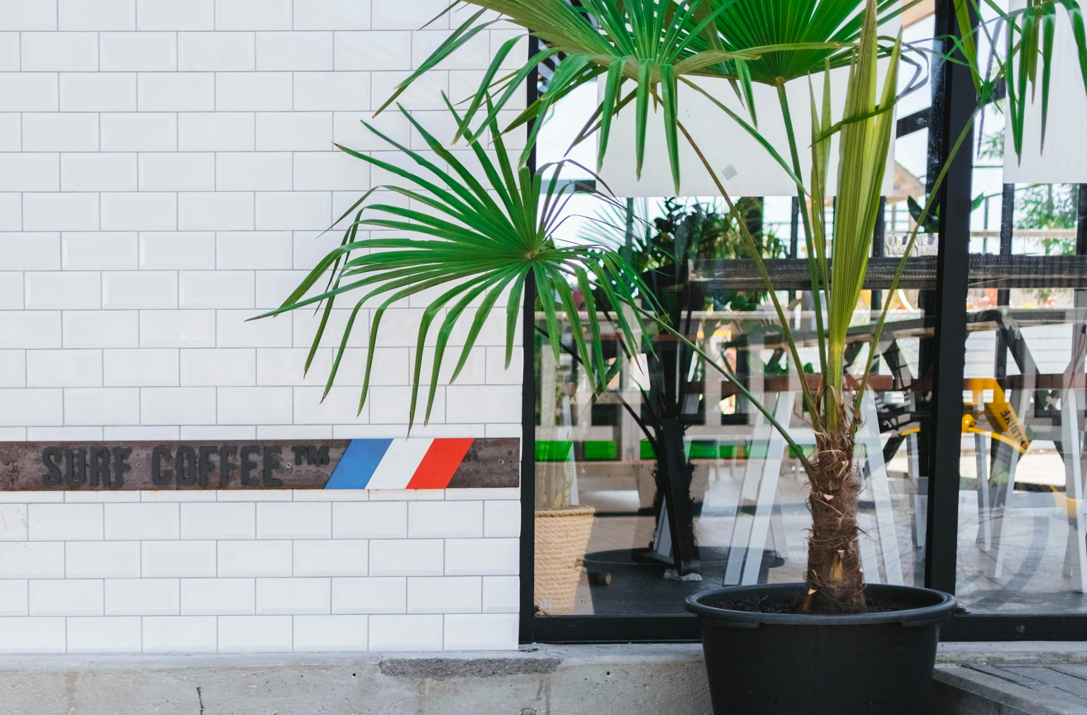 Palm Against the Café Tile Wall: Reflections in a Glass Storefront