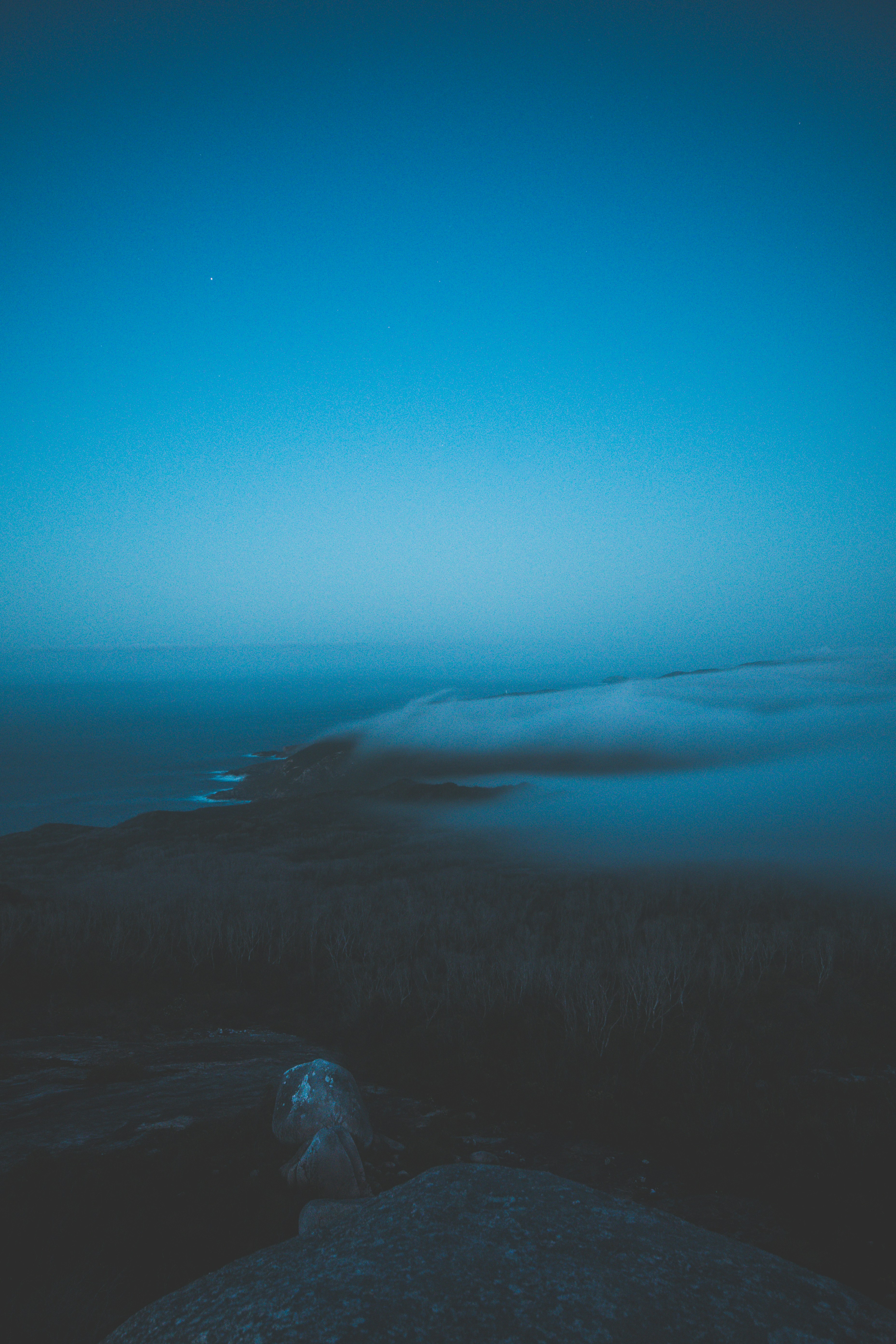 Pagie Page (@pagie) | Unsplash Photo Community