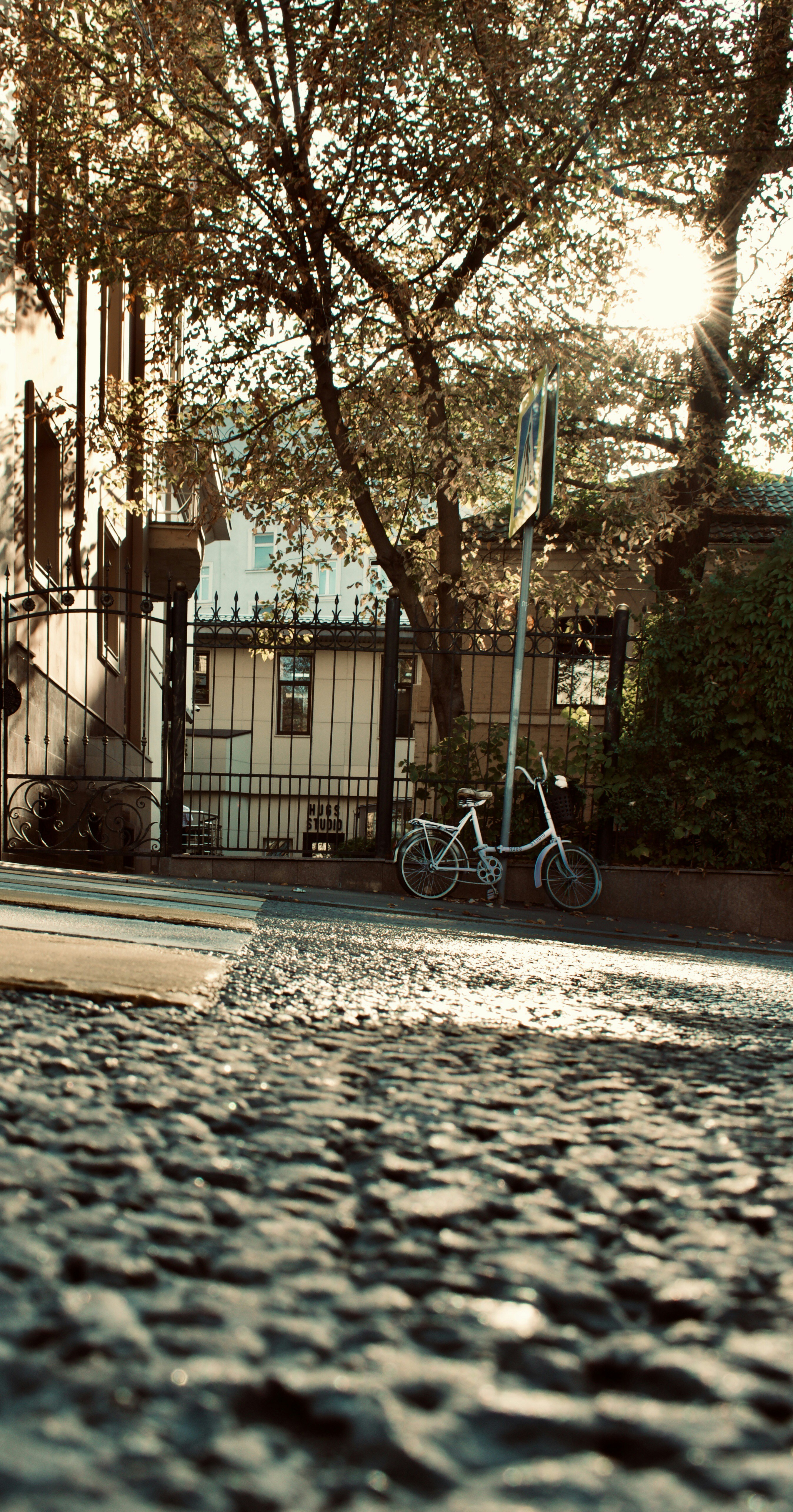 A tranquil street scene featuring a vintage bicycle parked beside a wrought-iron gate, framed by sunlit trees. The textured pavement adds depth to the composition.