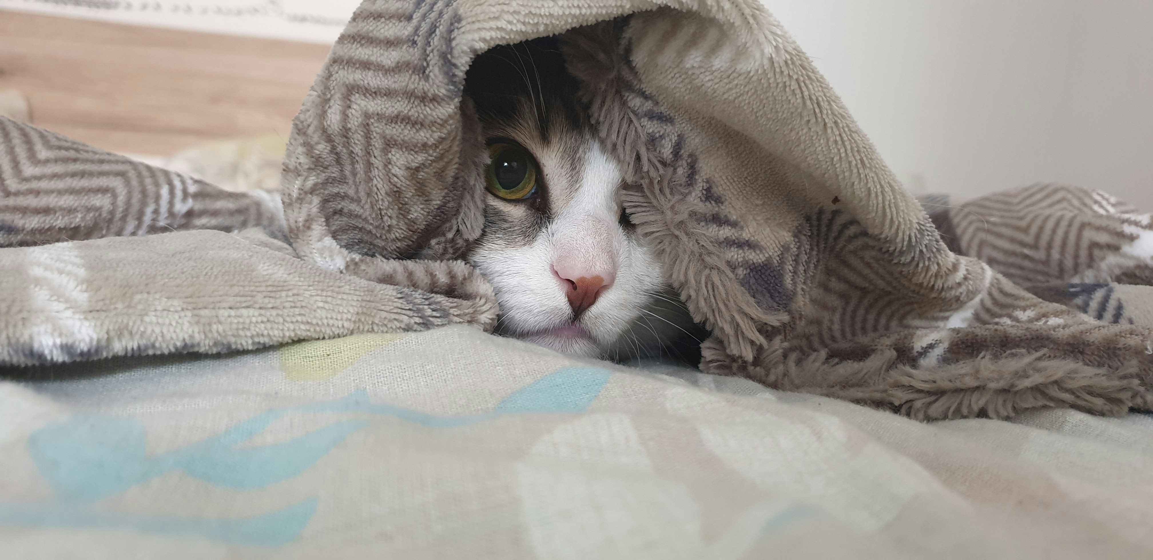 Seldina Pehlic (@seldina) | Unsplash 사진 커뮤니티