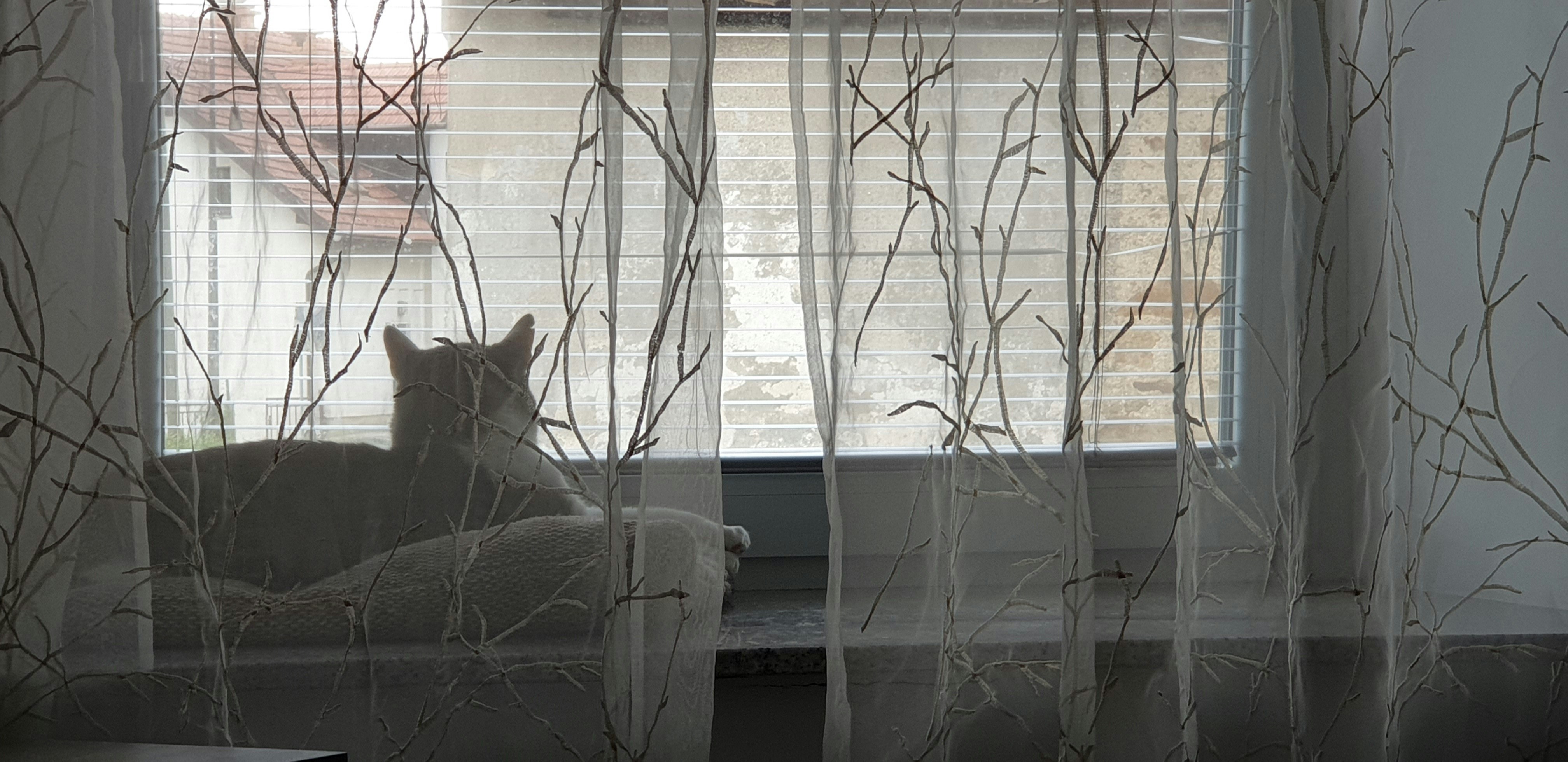 Seldina Pehlic (@seldina) | Unsplash 사진 커뮤니티