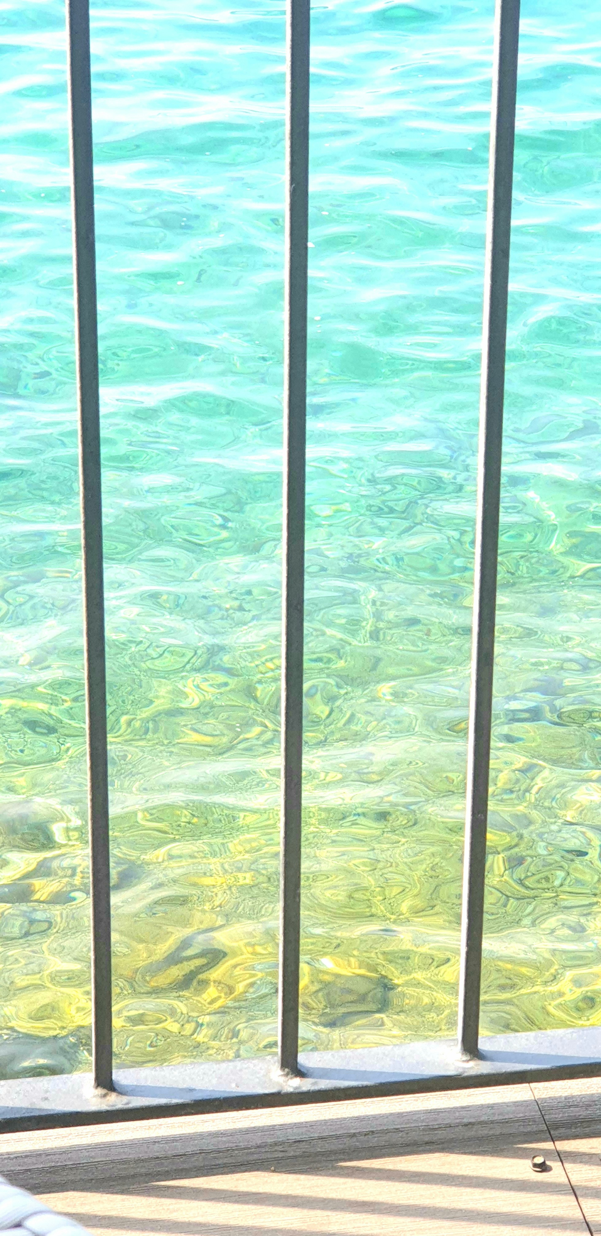 Seldina Pehlic (@seldina) | Unsplash 사진 커뮤니티