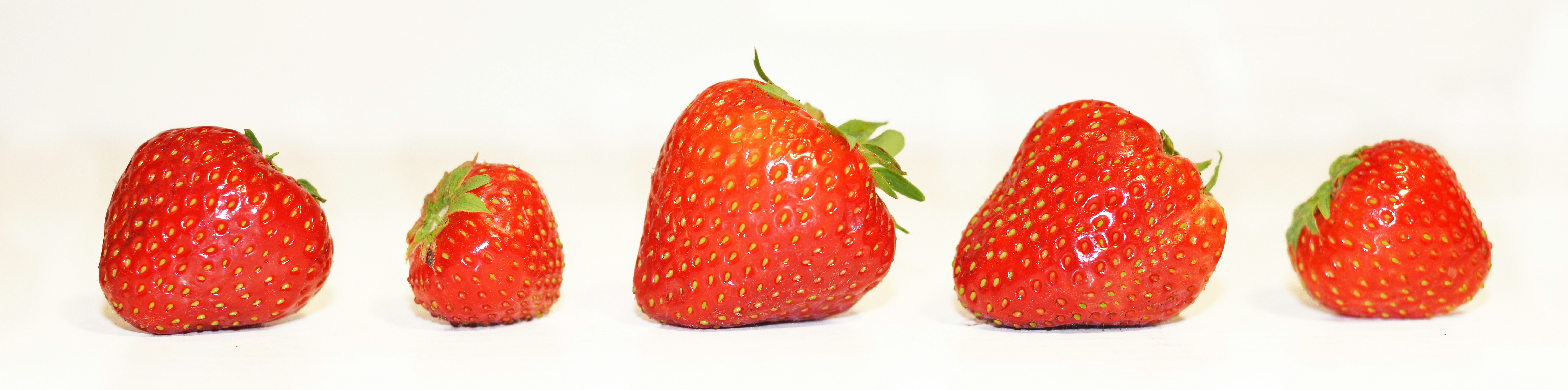 Five red strawberries photo – Free Food Image on Unsplash
