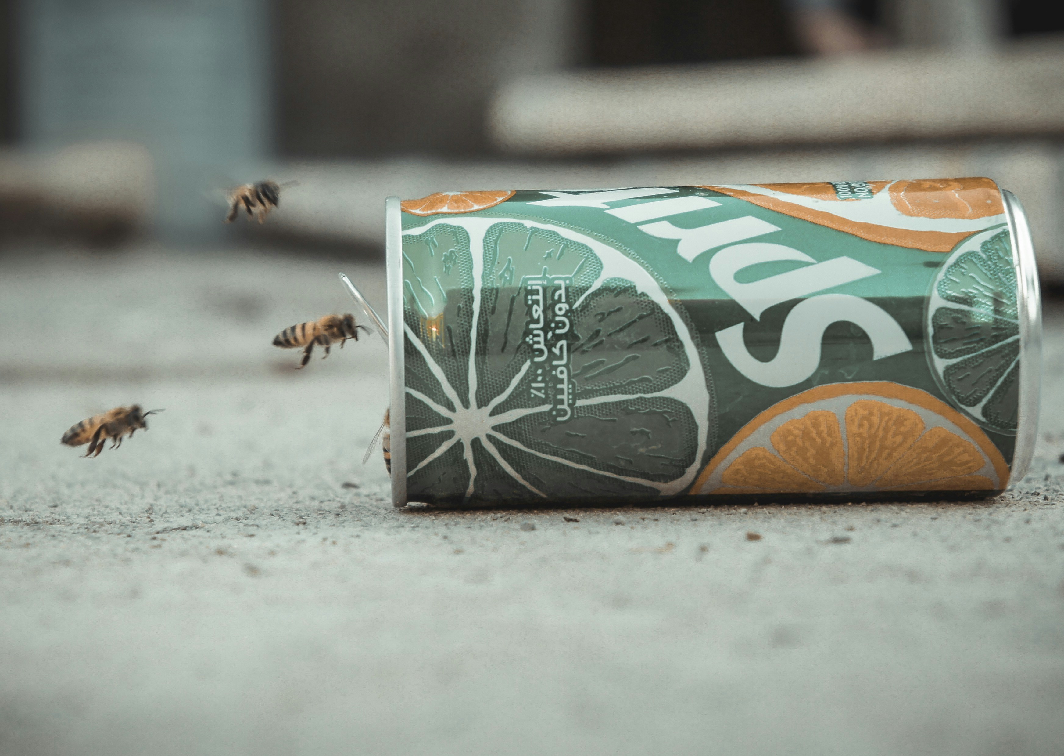 Close-up photograph of a citrus juice can lying on rough concrete, with several bees hovering nearby. The scene highlights the tension between a man-made object and natural insects.