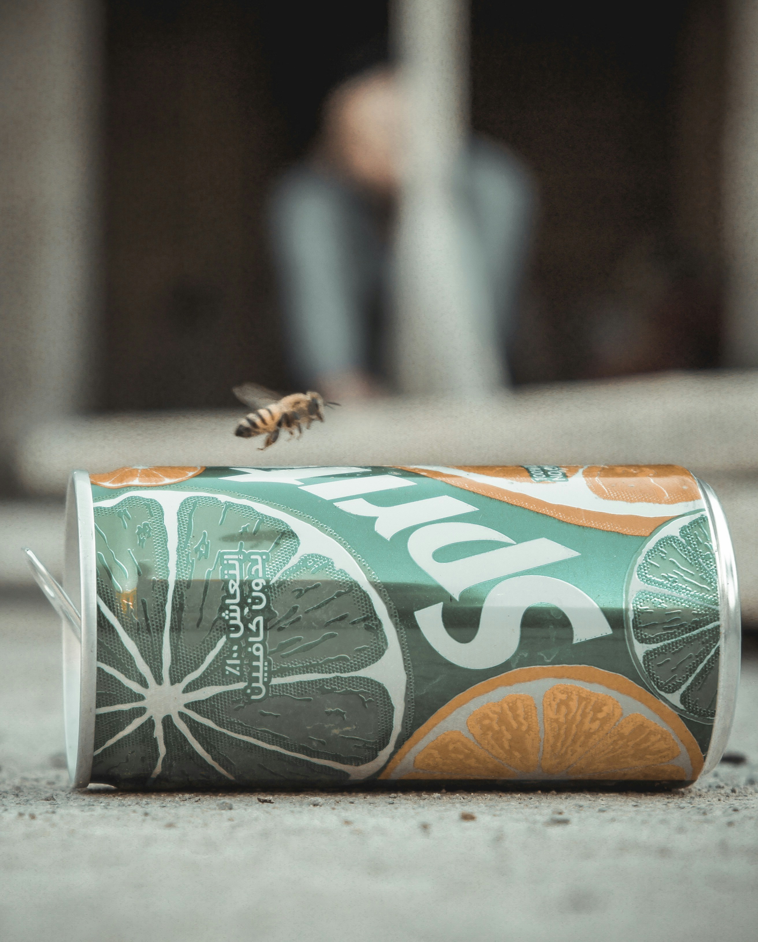 Honeybee hovering above Sprite can on pavement photo – Free Human Image ...