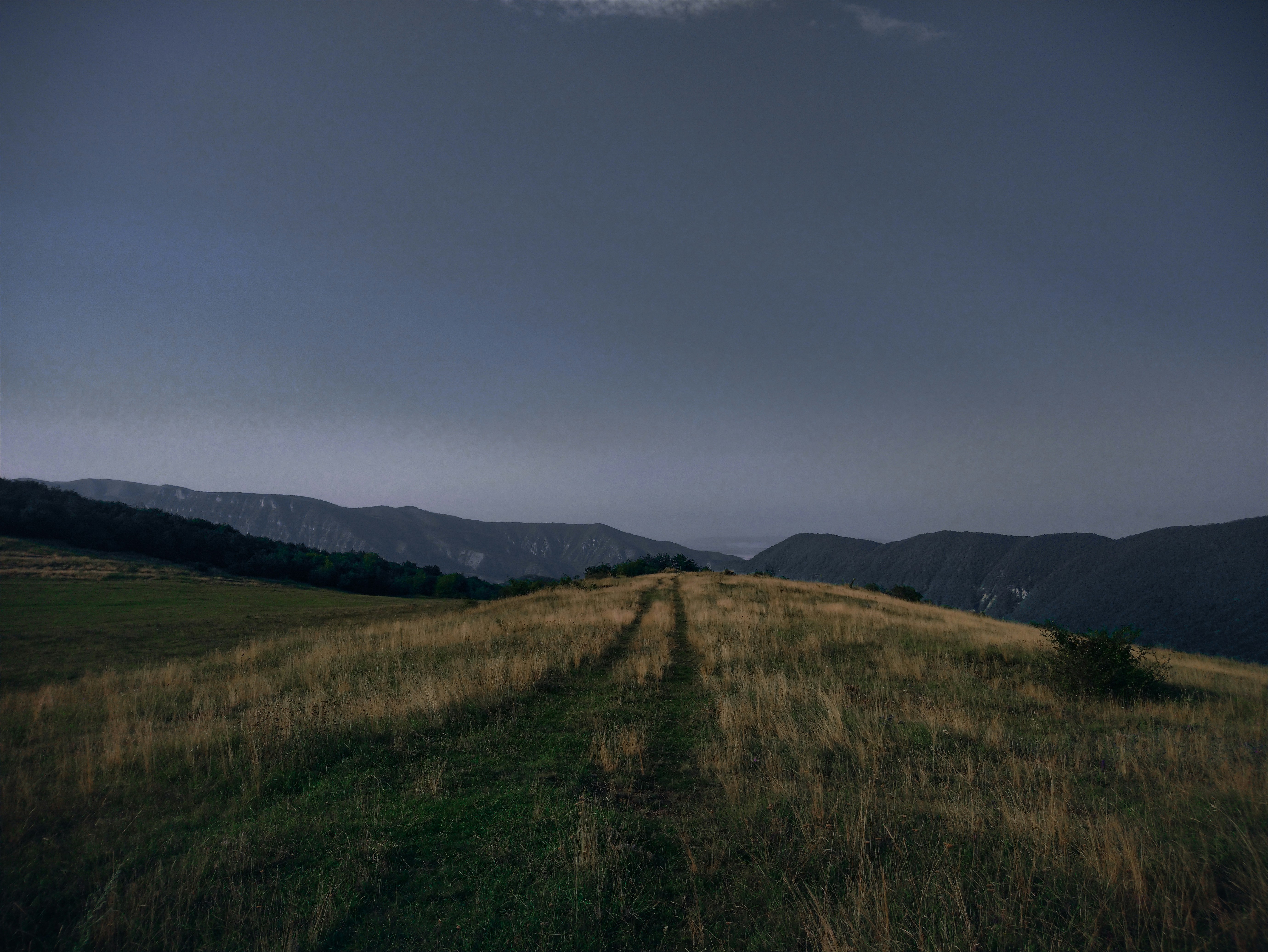 Green grass field scnery photo – Free Land Image on Unsplash