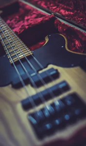 Velvet Echo: A Bass Resting in a Crimson Case