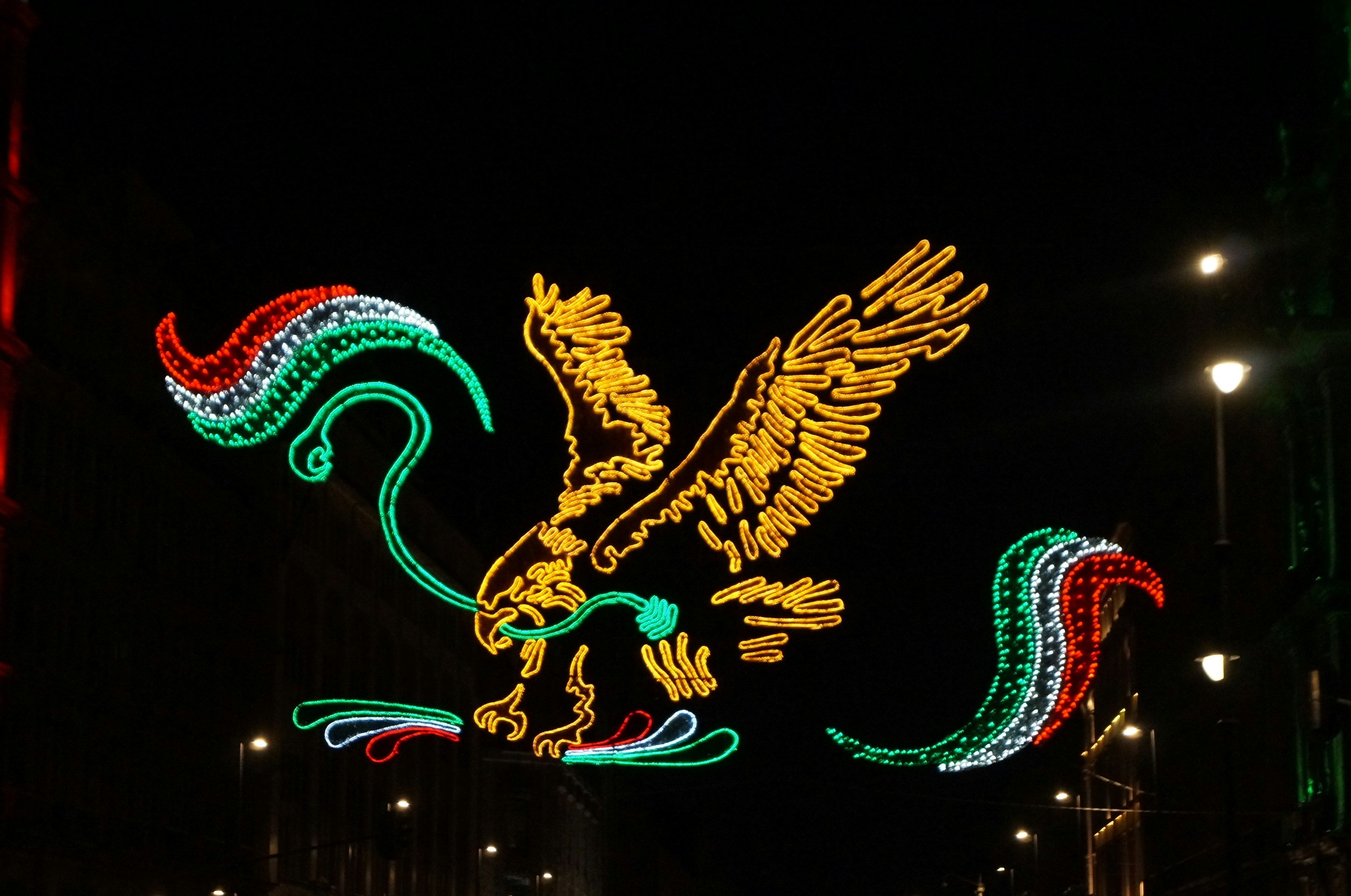 Neon Phoenix: Flight Over a Night-Street Illumination