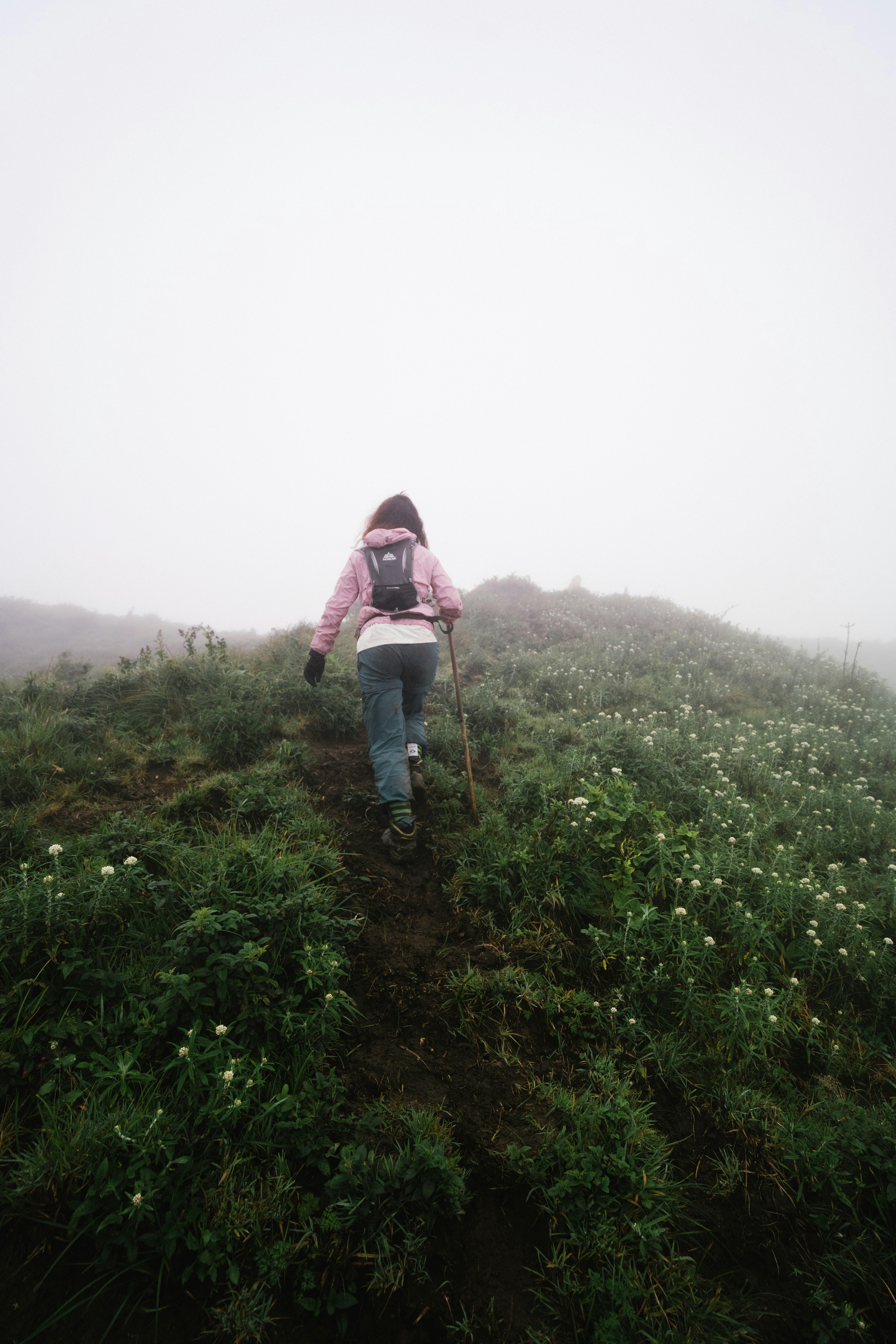 Misty ascent: a lone hiker footprints toward the fog