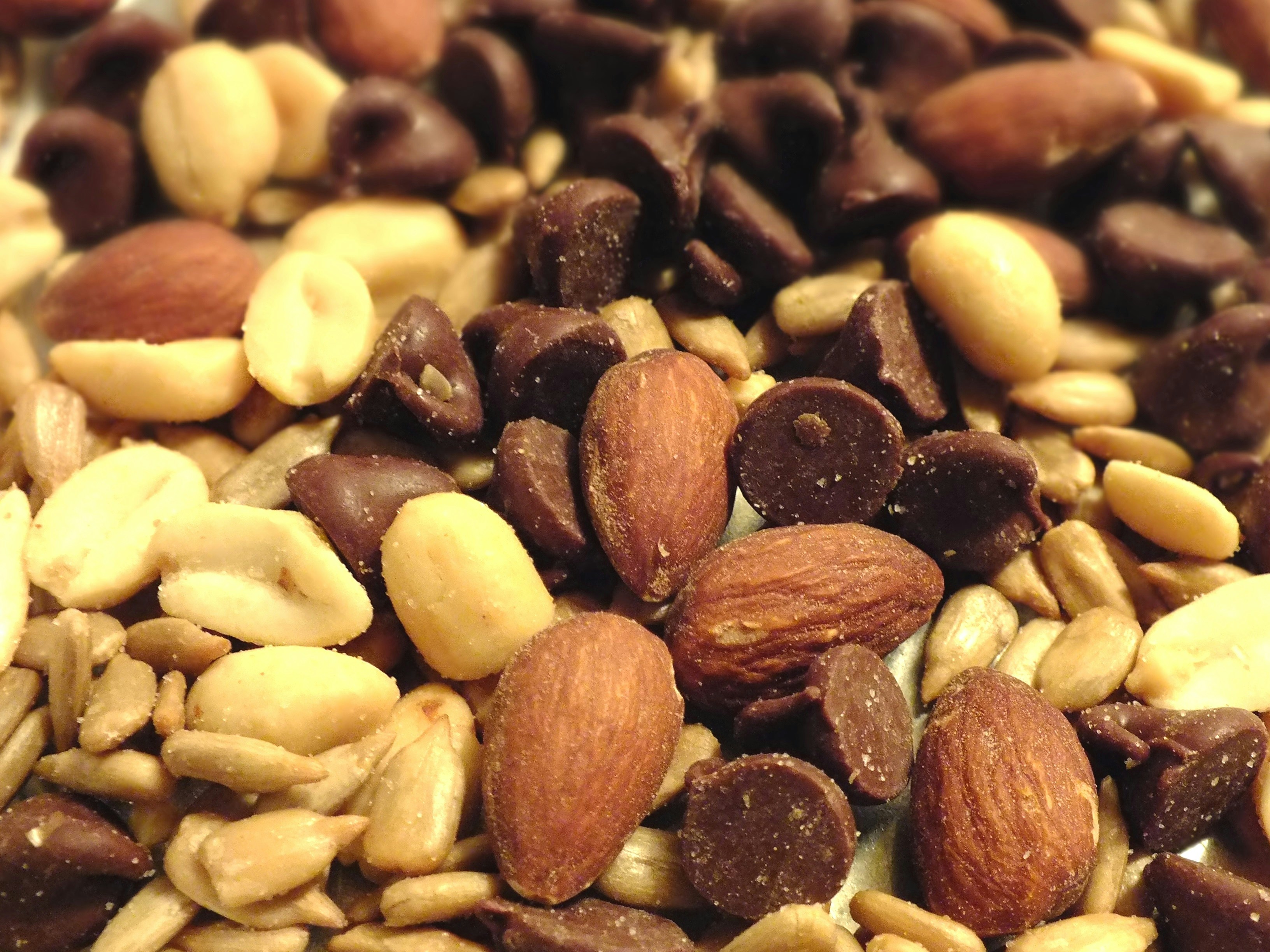 Assorted-color nuts photo – Free Plant Image on Unsplash