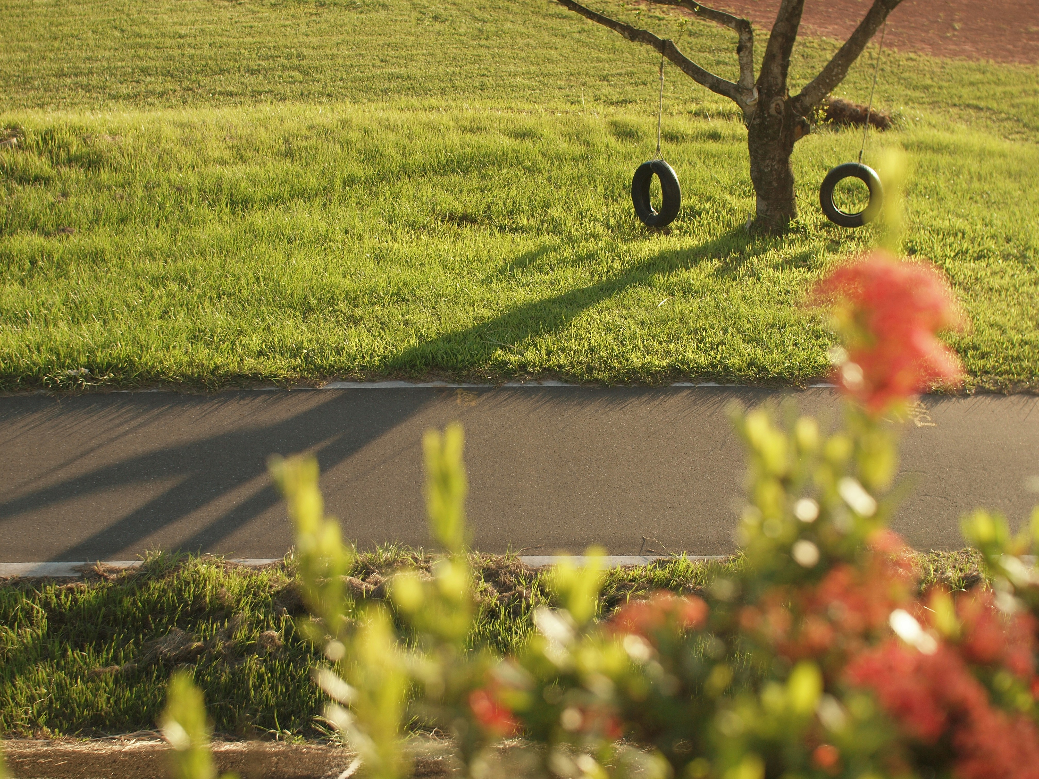Tire Sculptures by the Sunny Path