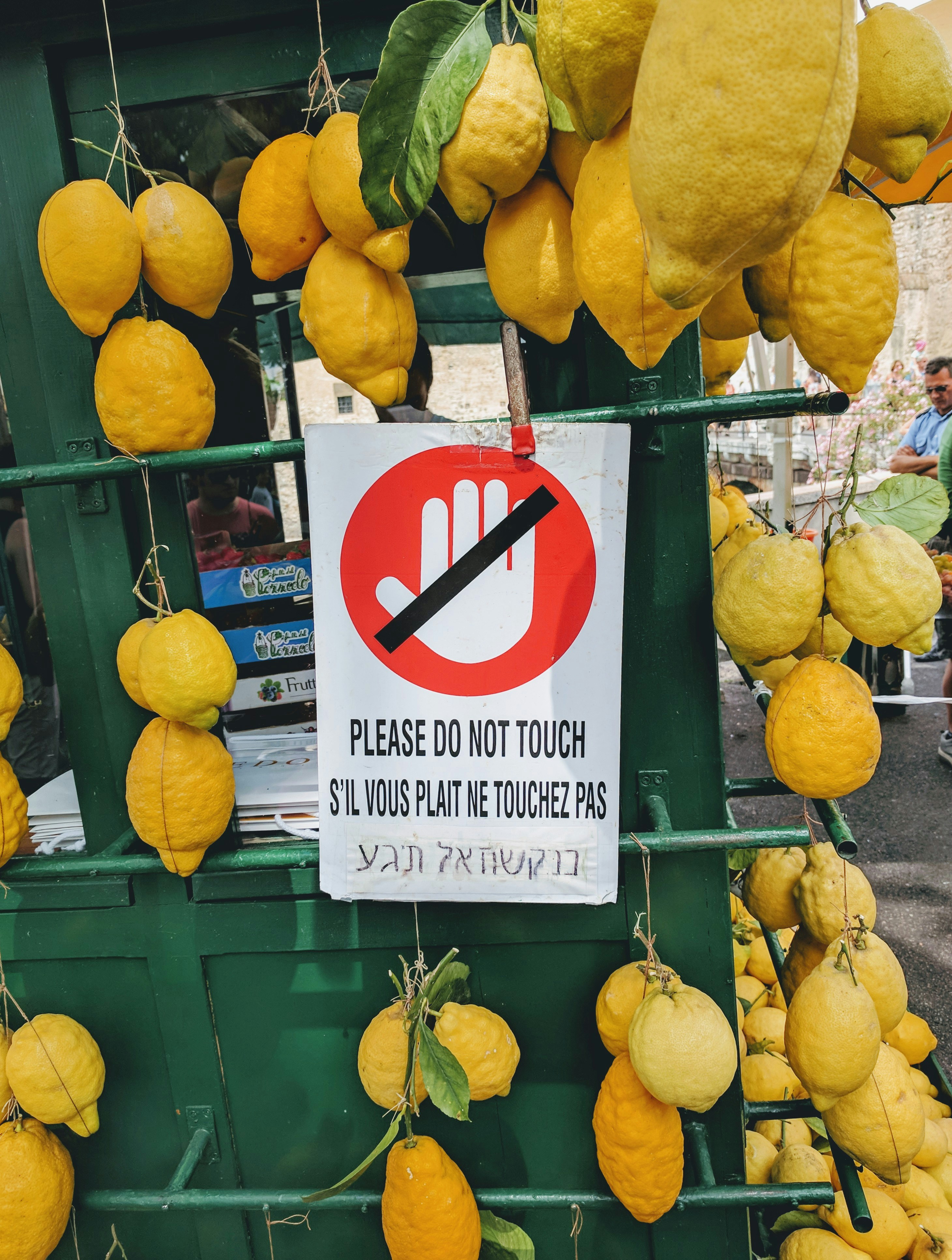 A sign instructing not to touch, surrounded by vibrant lemons hanging from a green structure. The multilingual warning adds a cultural touch.