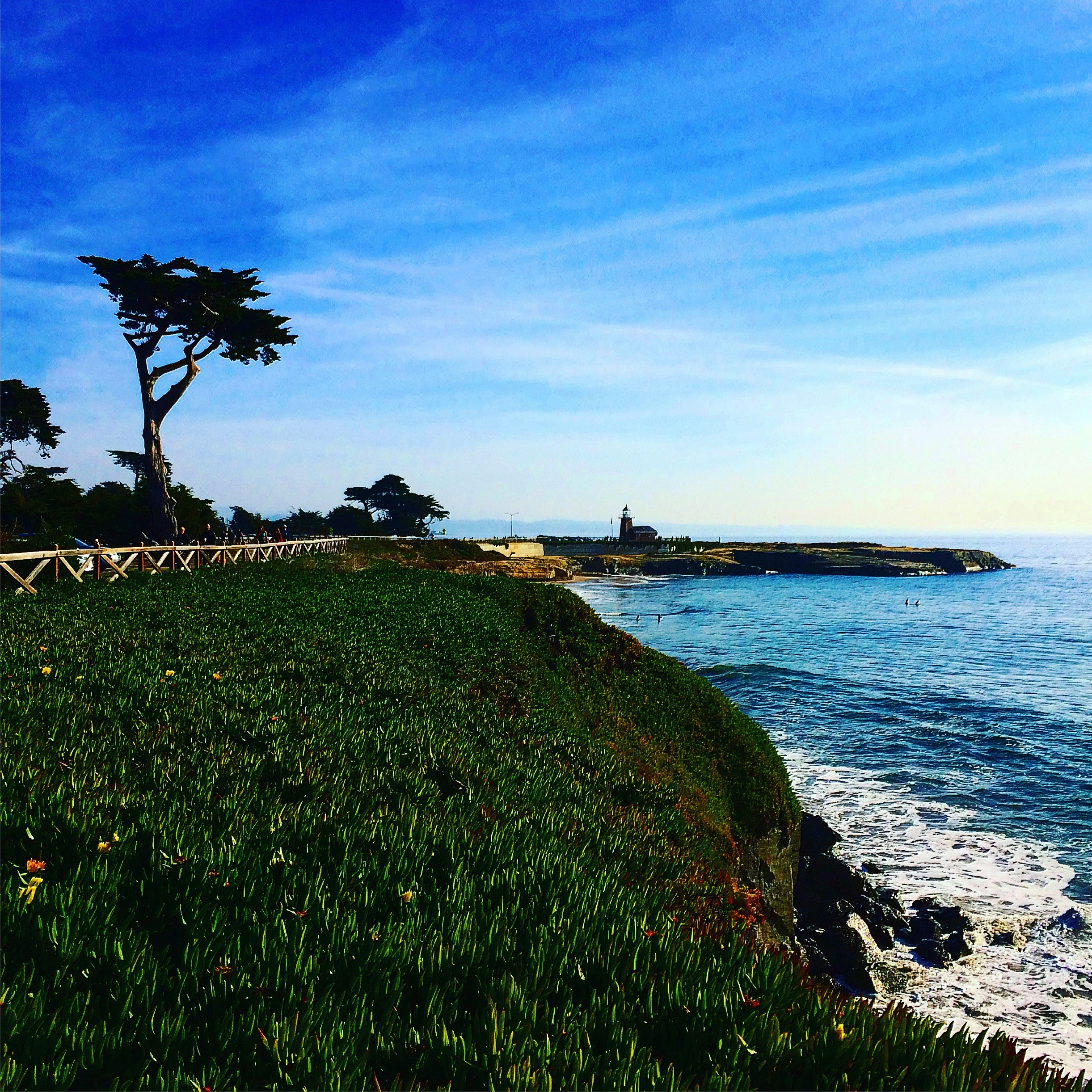 Trees near ocean photo – Free Santa cruz Image on Unsplash