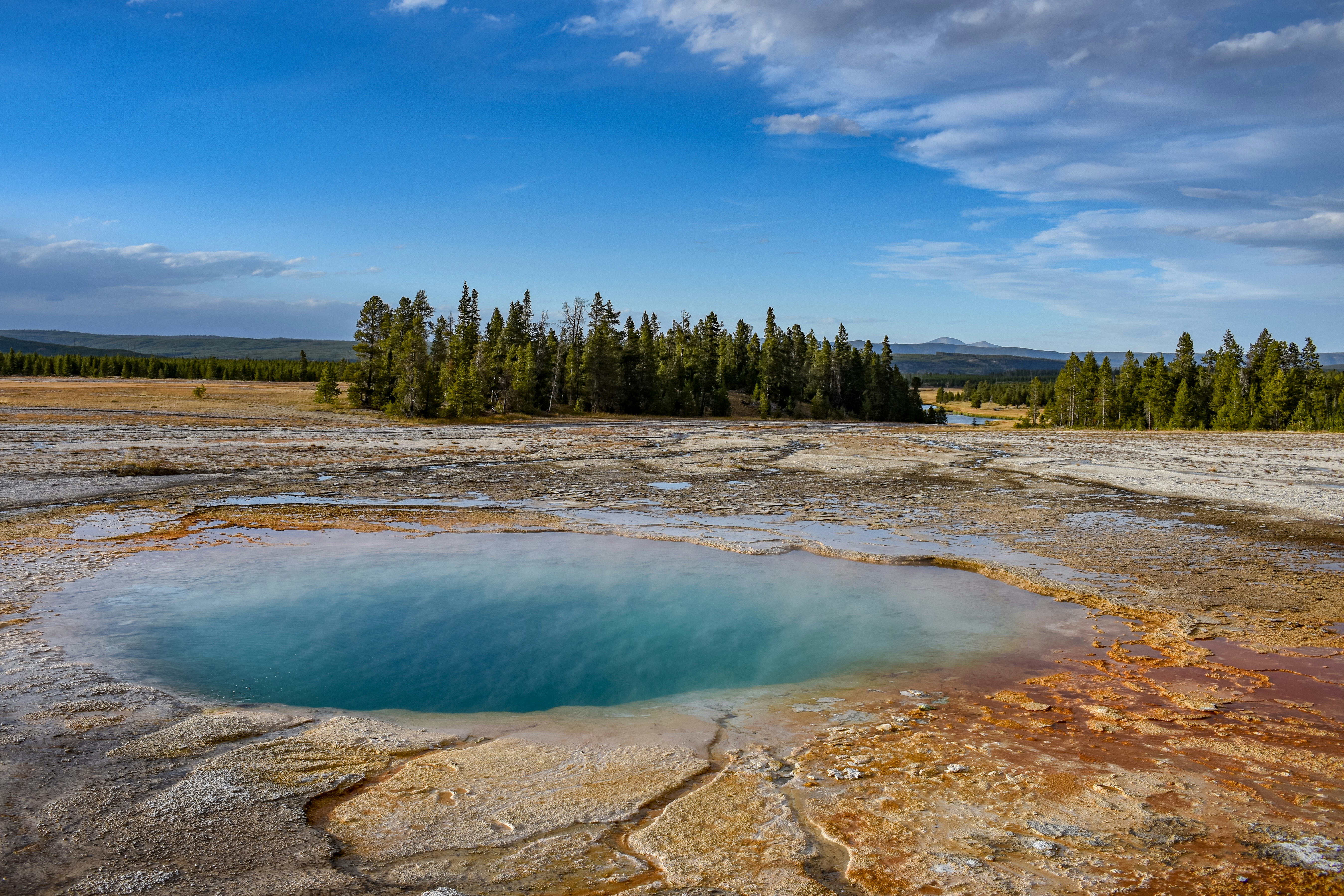 Geyser viewing green trees under blue and white skies during daytime ...