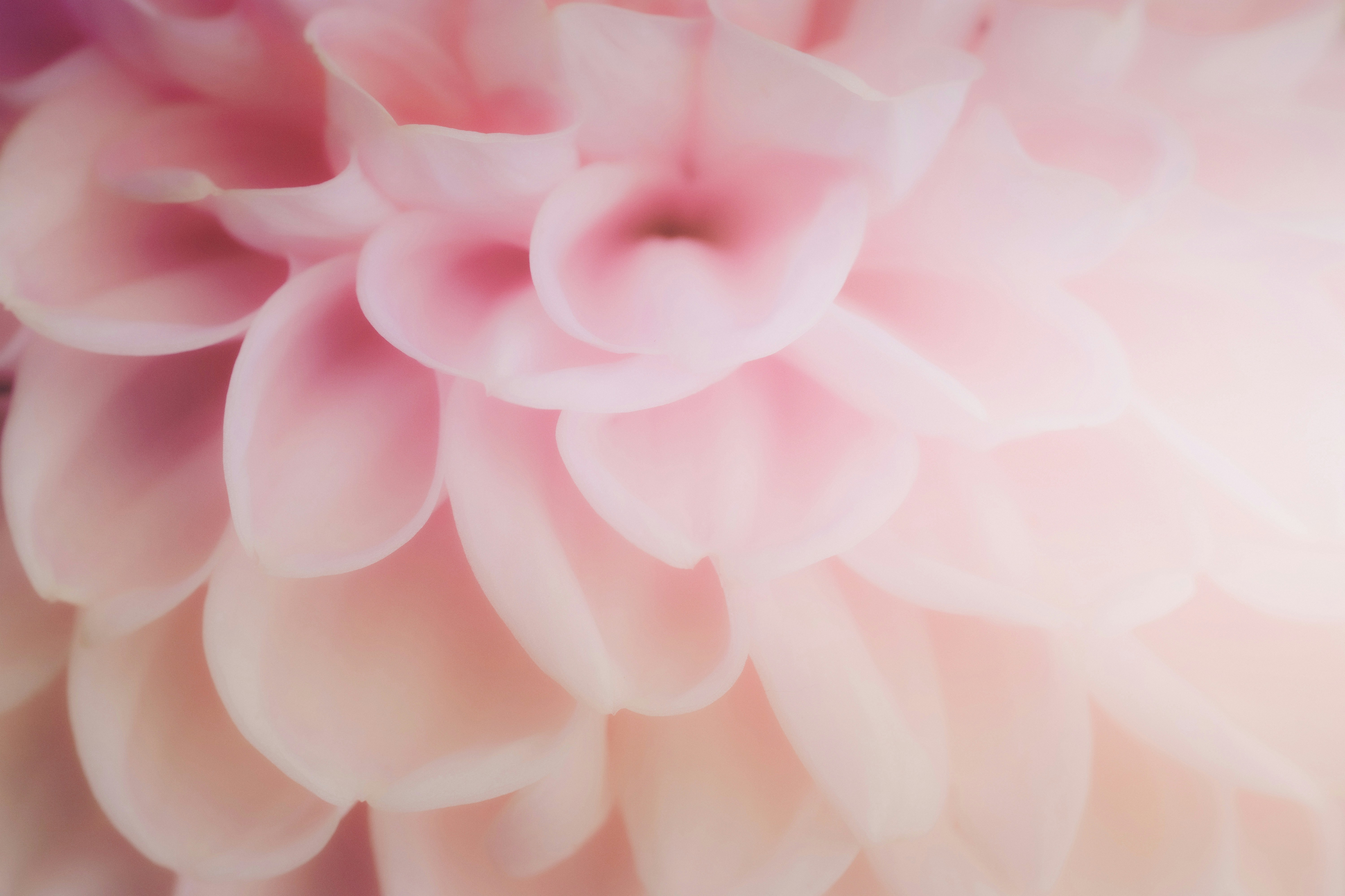 OZL Scheme Booklet Posted - 60 Days to Completion - Travis Lundy