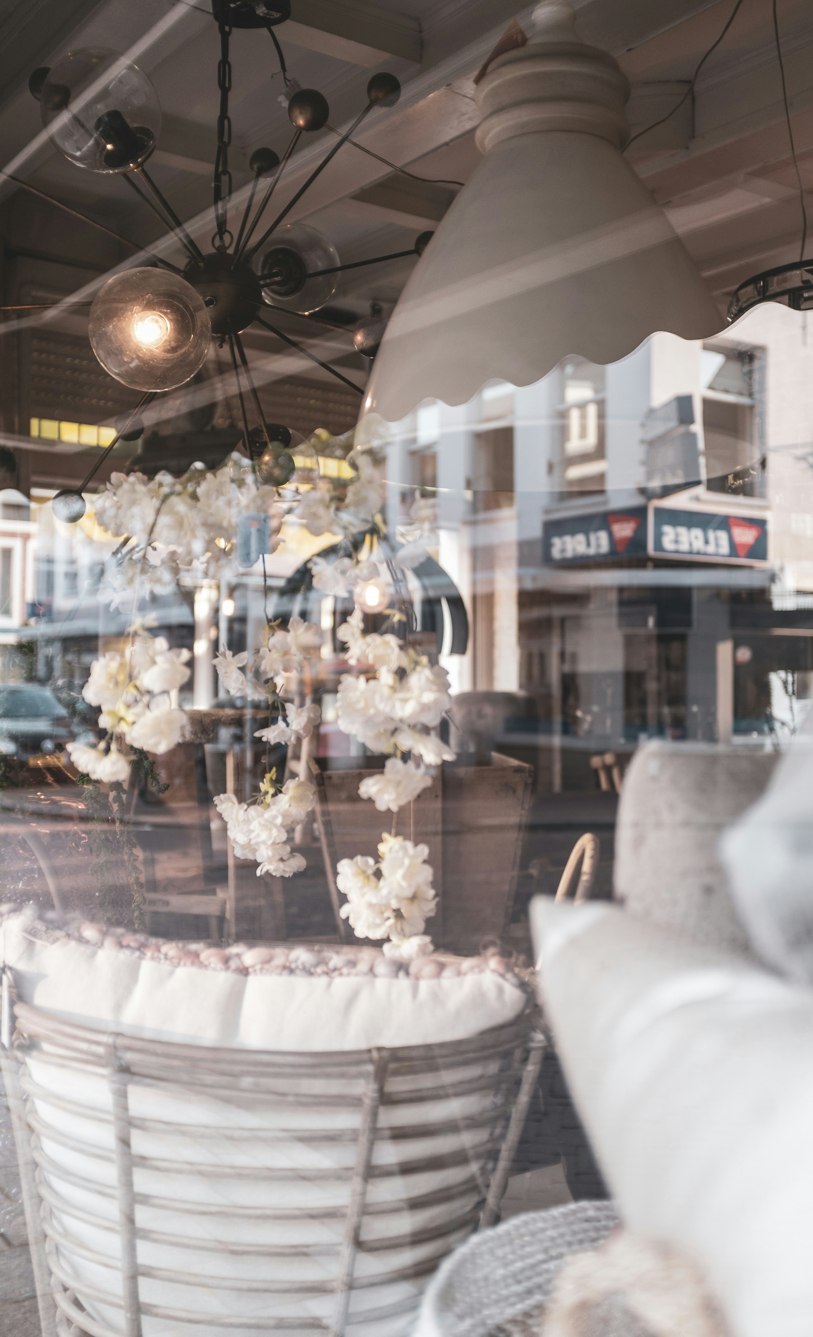 Window Garden in Soft Light: White Florals Framed by a Café’s Glass