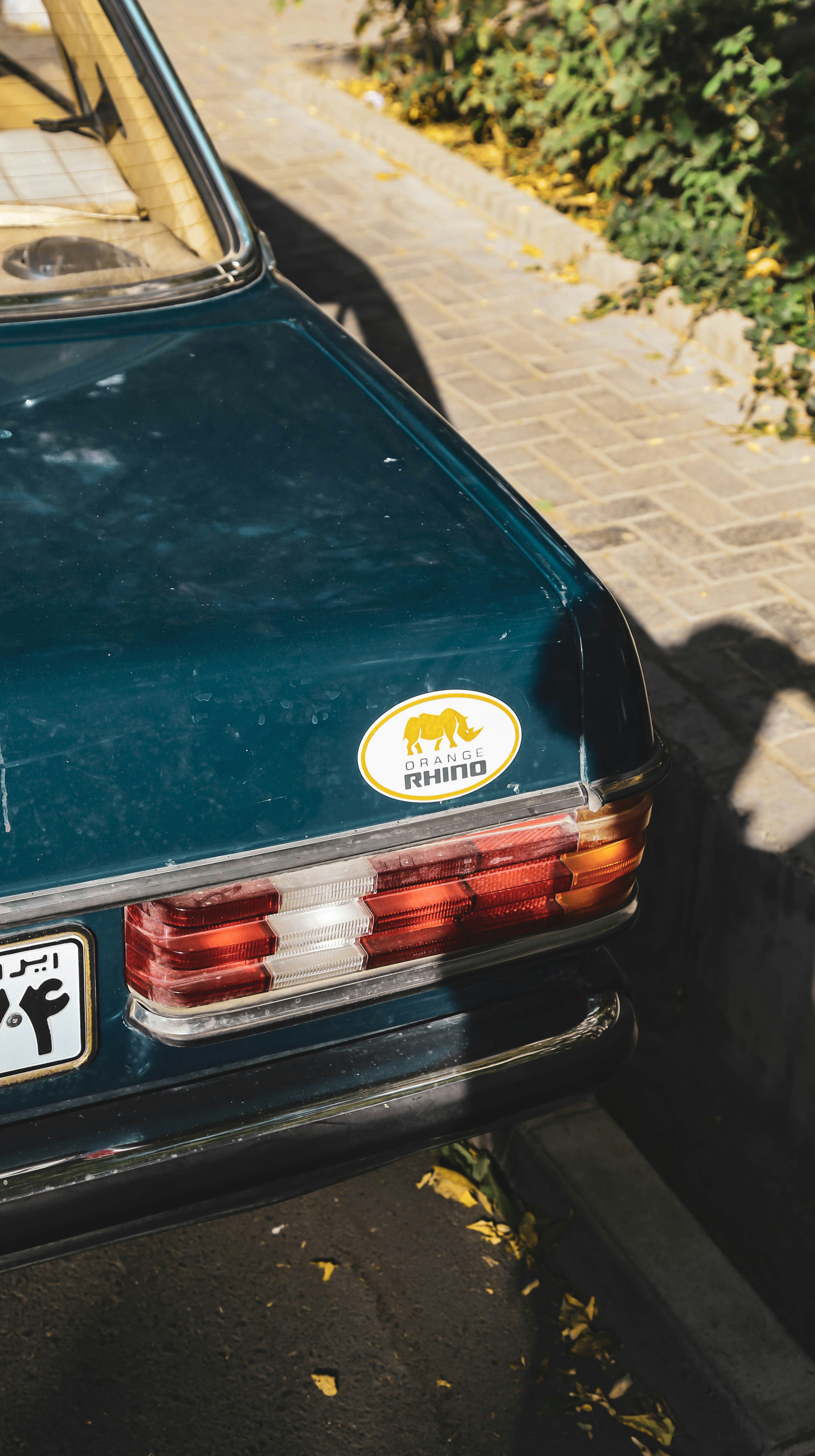 Orange Rhino Emblem on a Teal Vintage Sedan in Sunlit Street