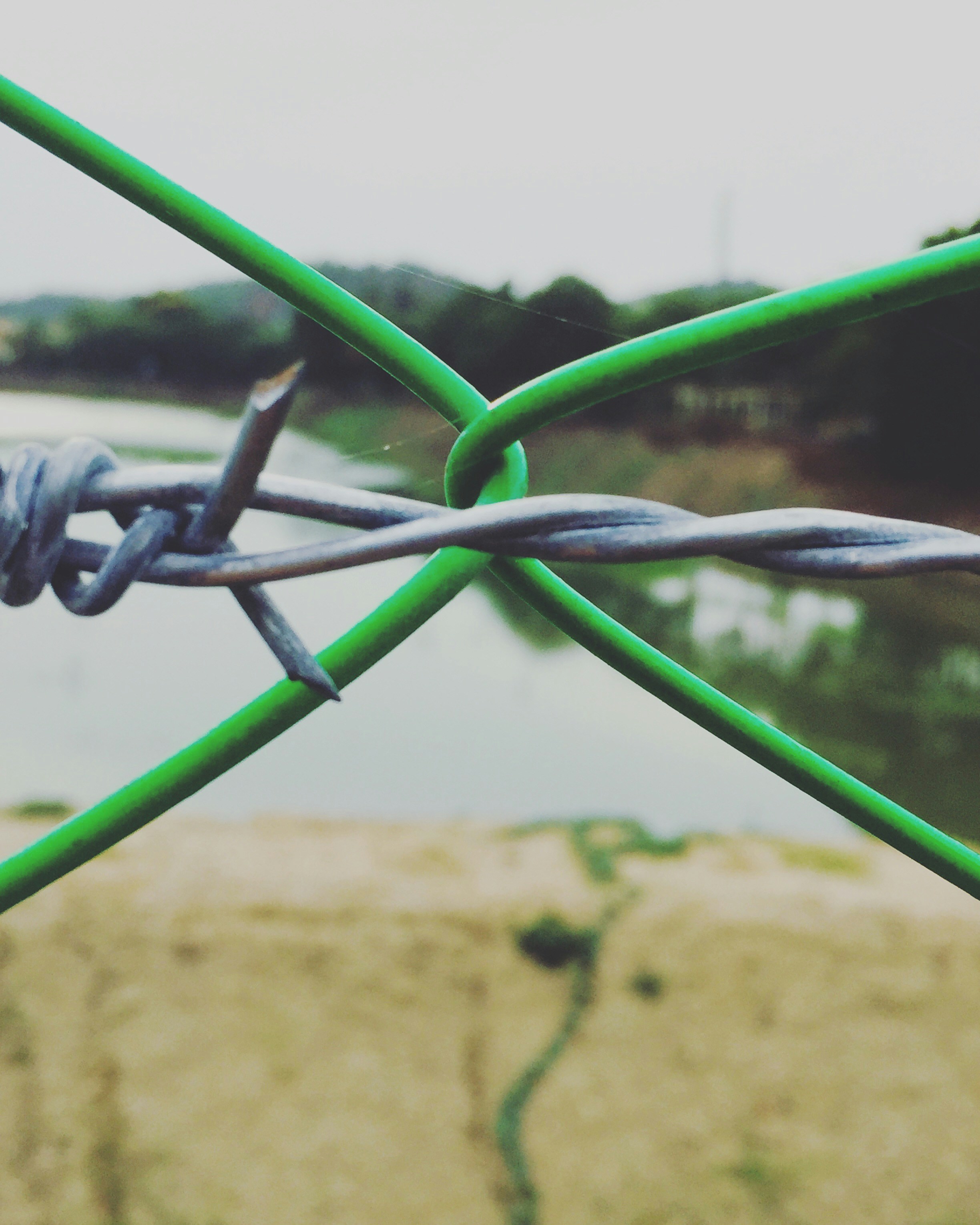Macro photography of gray and green barb wire photo – Free Wire Image ...
