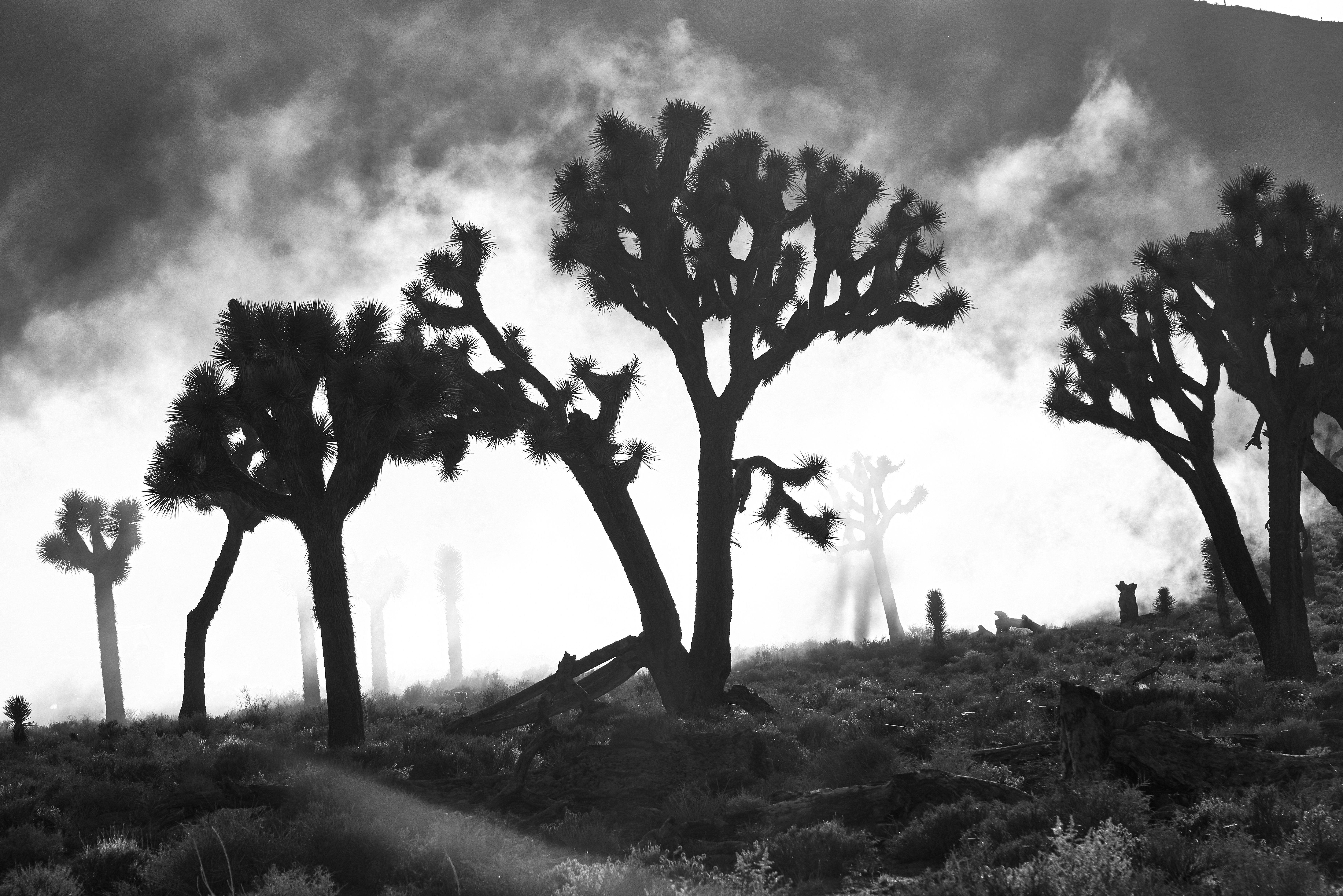 Parquenacional Fotos | Baixe imagens gratuitas na Unsplash