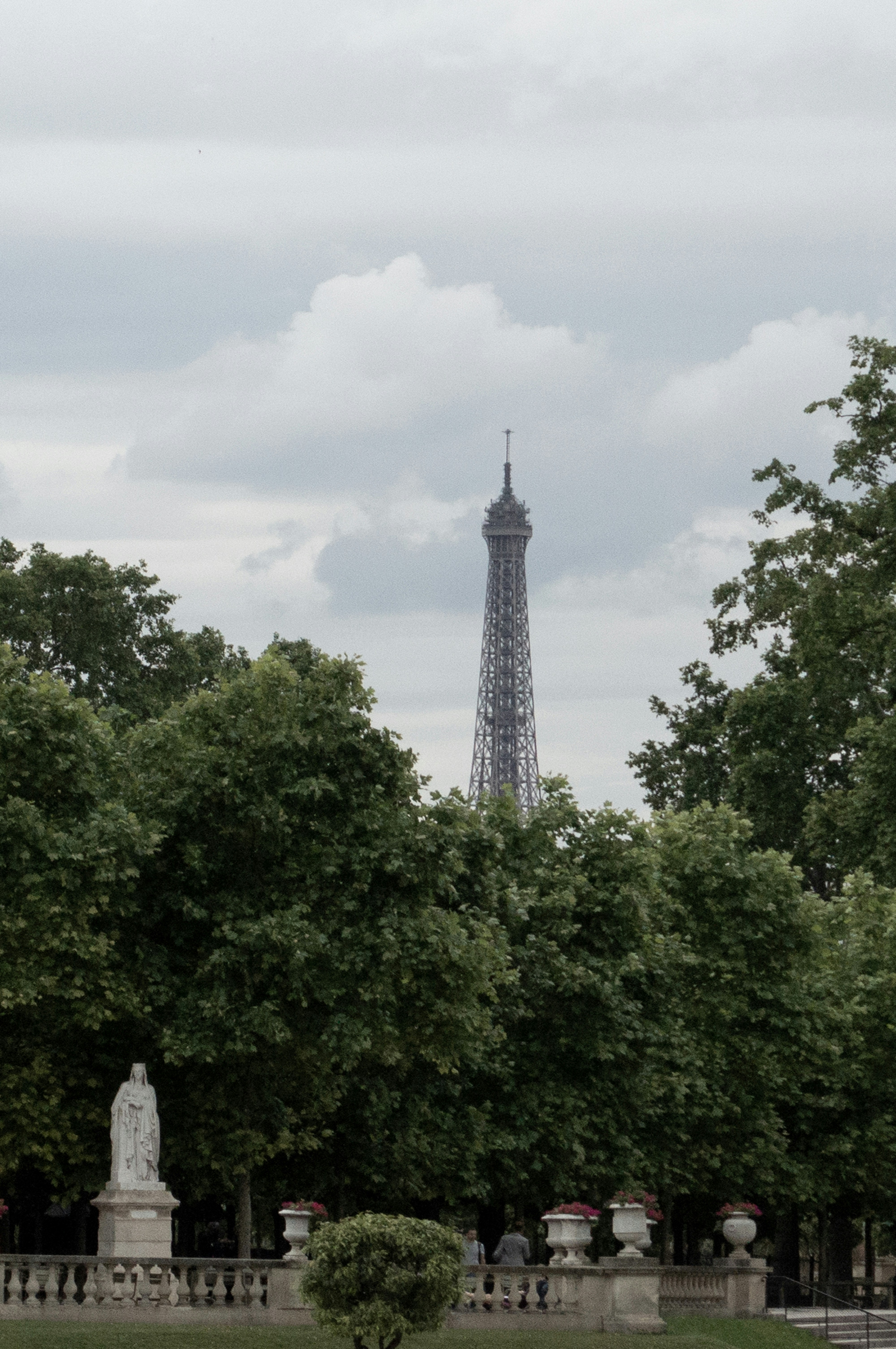 Eiffel Tower Rising Over Parisian Trees as a Statue-Garden Vista