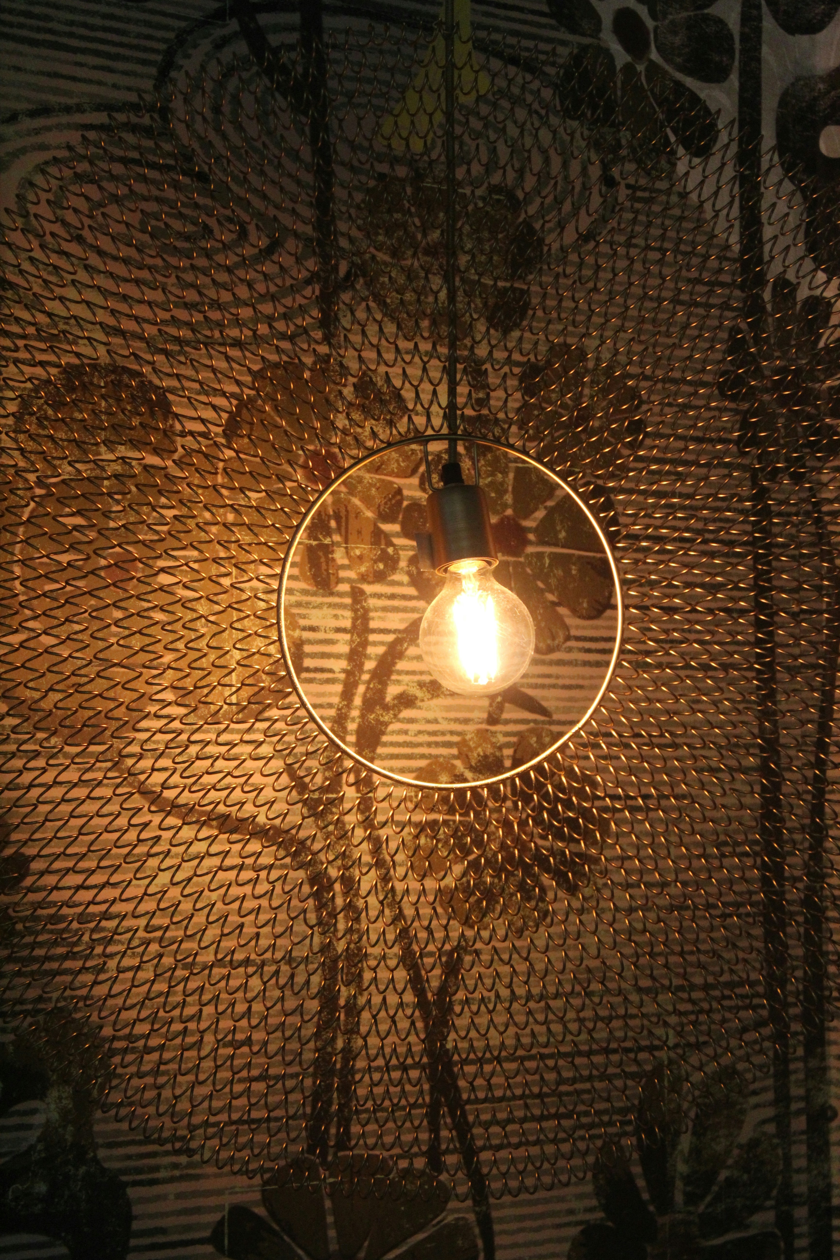 Light Brown Pictures | Download Free Images on Unsplash