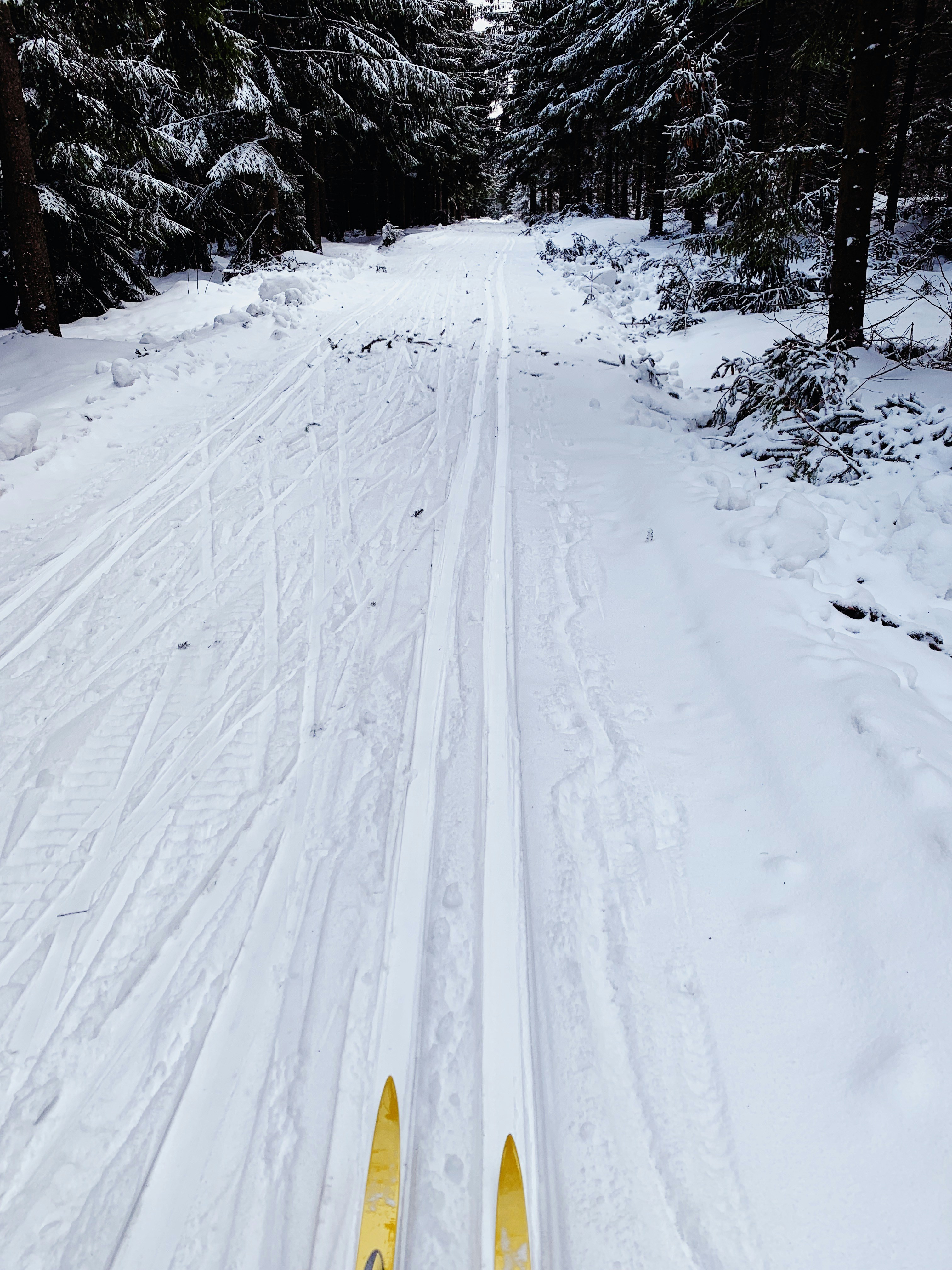Pair of yellow snow skis on snow photo – Free Grey Image on Unsplash