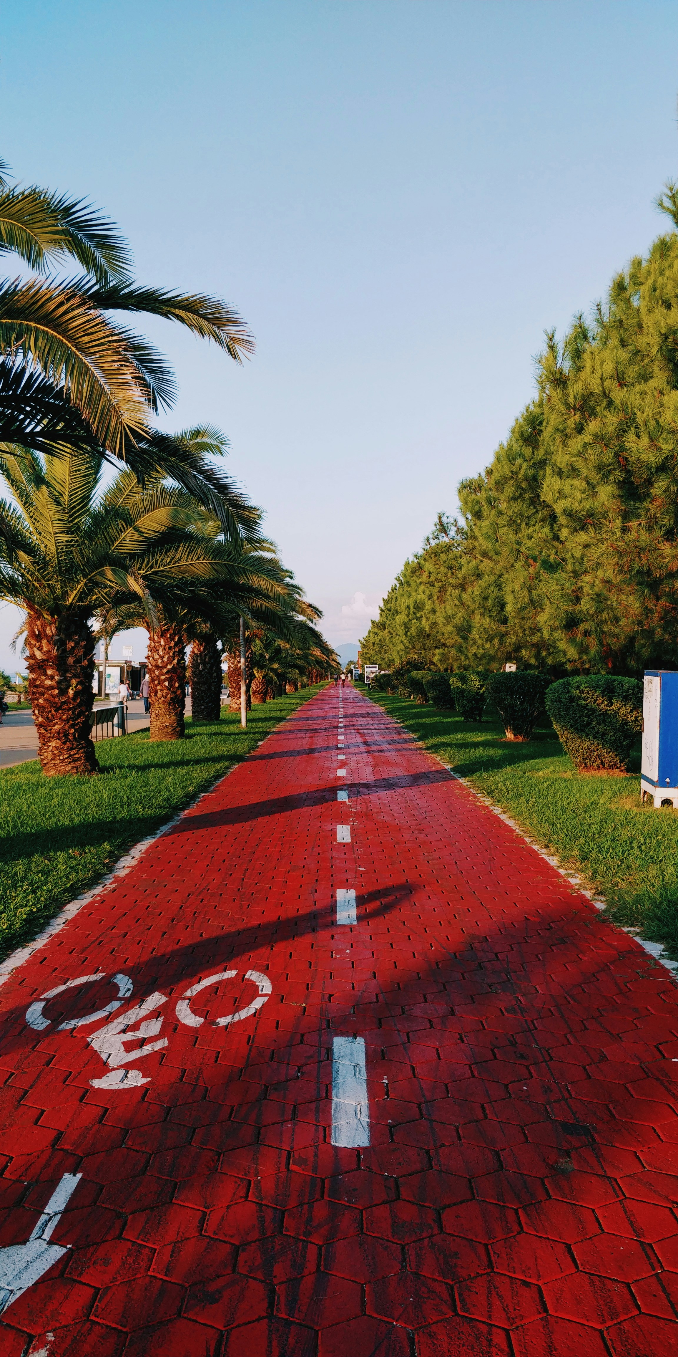 Vibrant red bicycle path flanked by palm trees, leading towards a distant horizon under a clear blue sky.