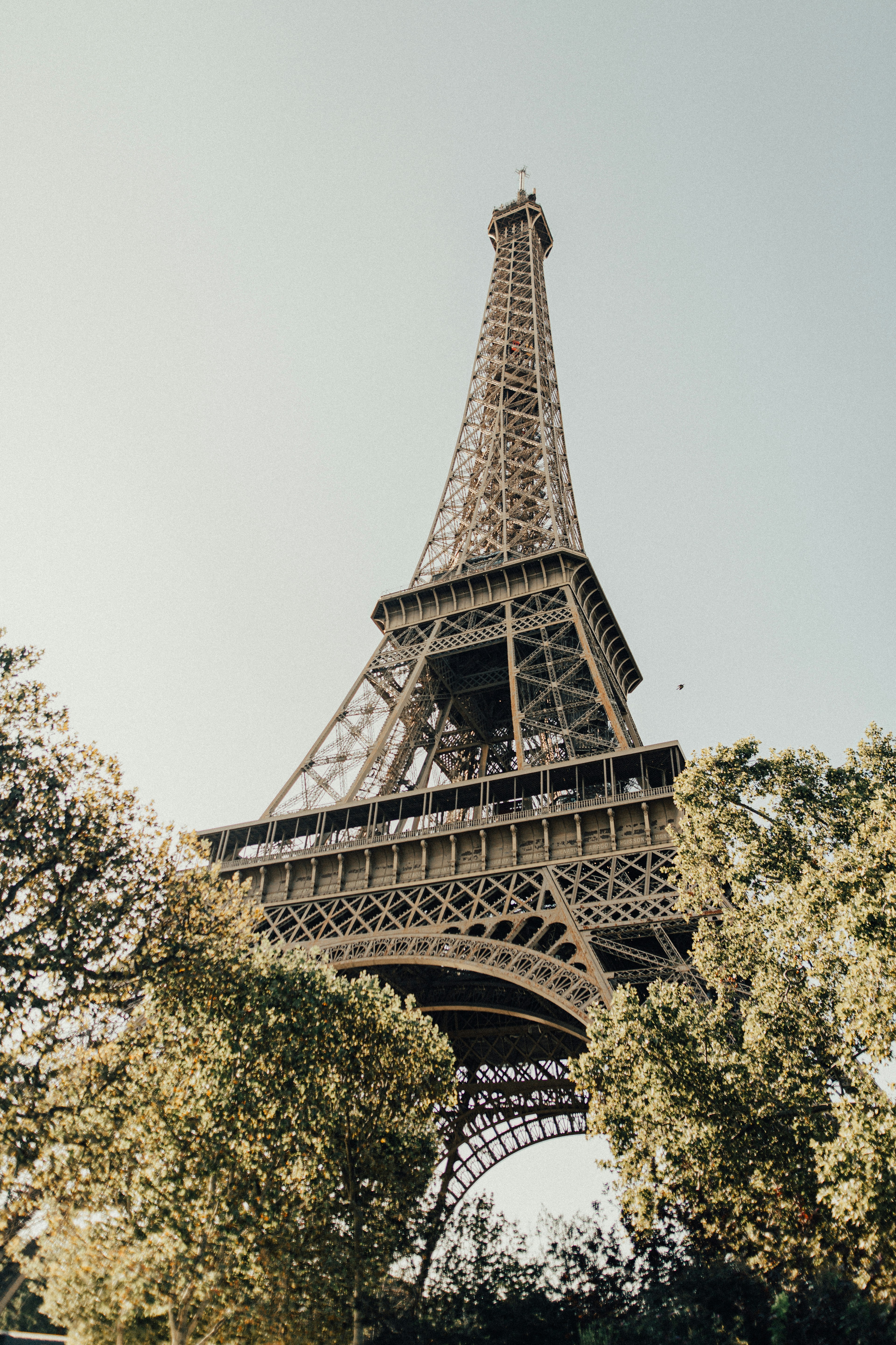 The Eiffel Tower rises majestically, framed by lush green trees, showcasing its intricate ironwork against a clear sky.