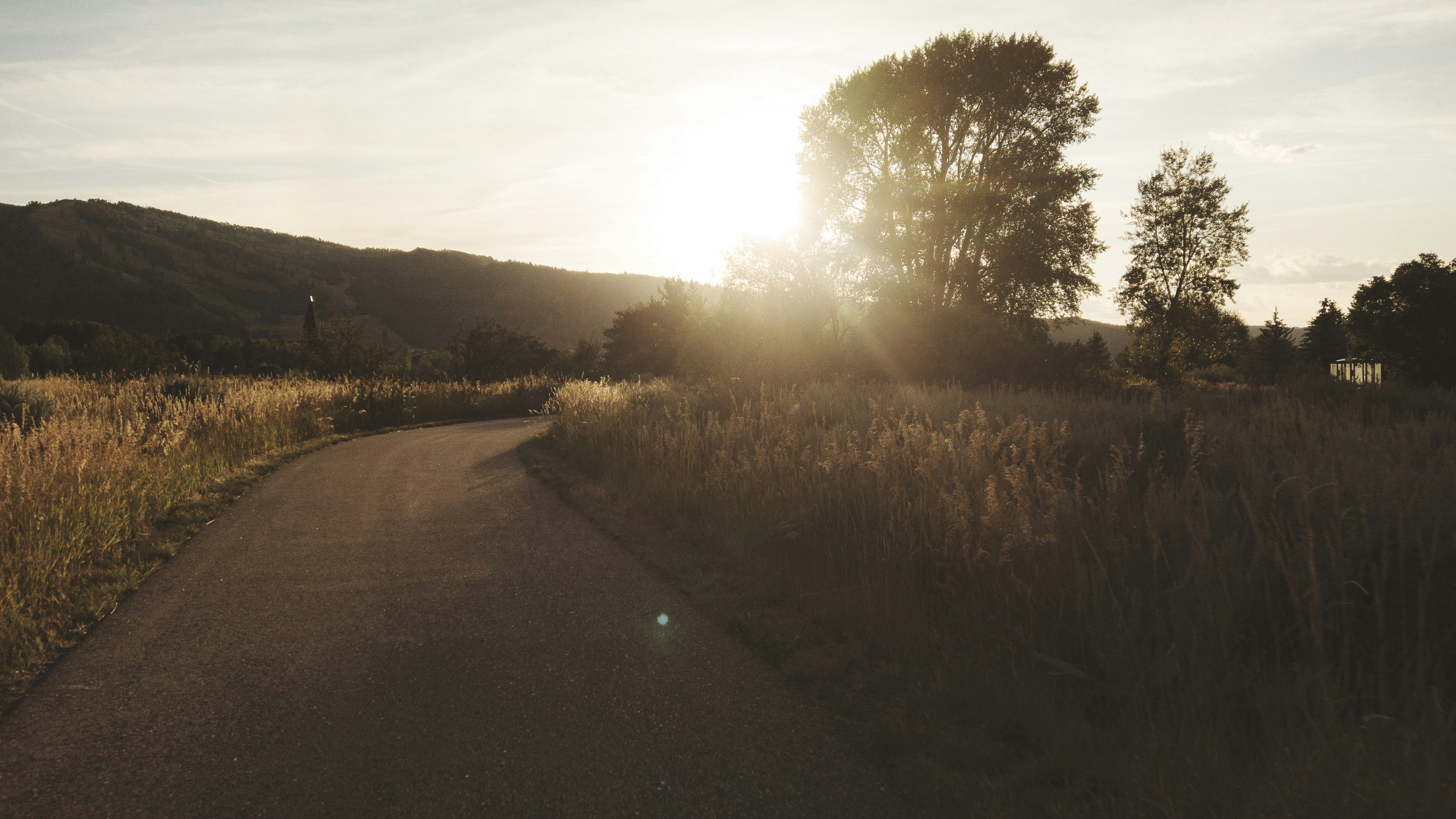 Sunset behind trees casting long shadows on a winding country path.