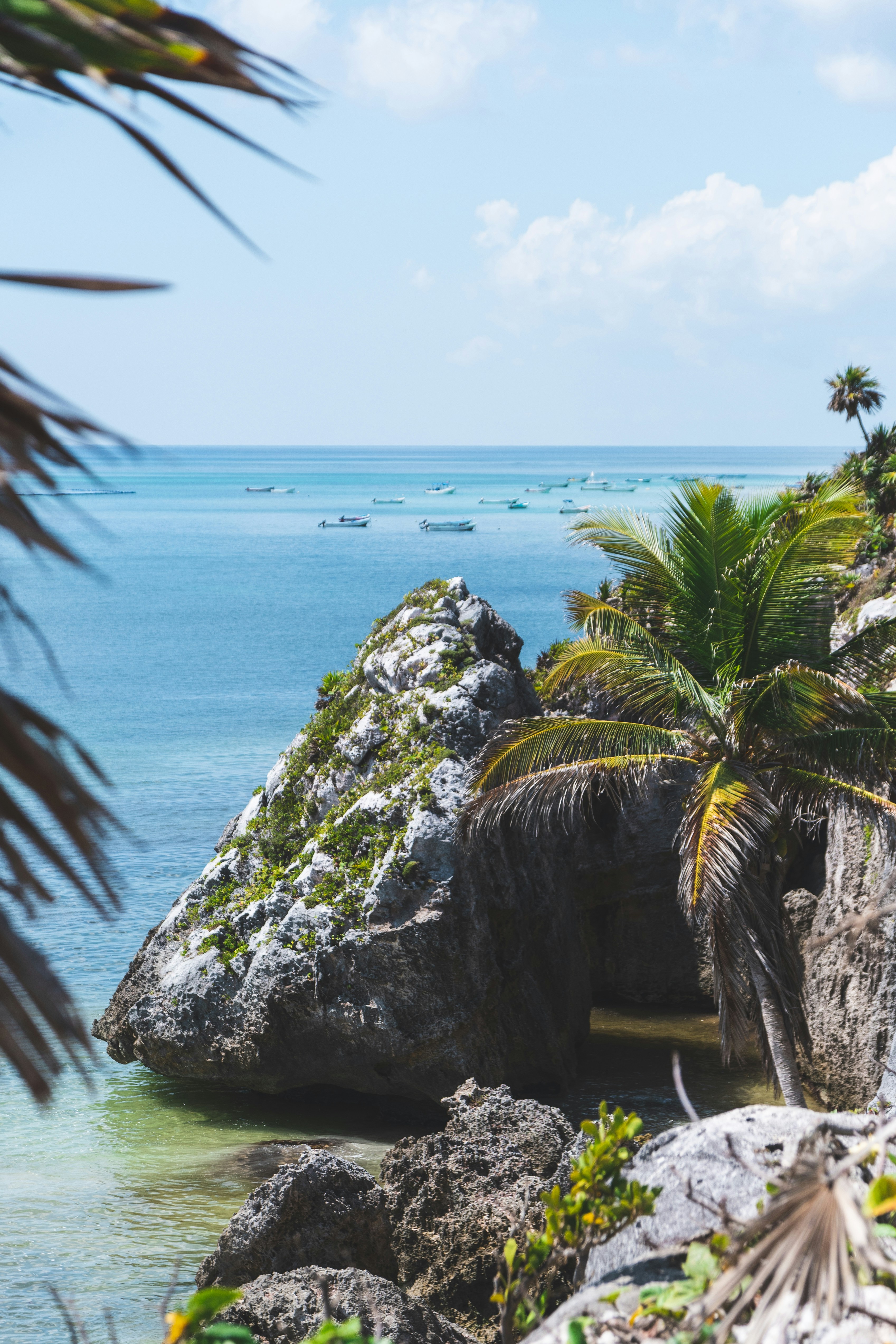 Palm-Guarded Sea Cave Opening to Turquoise Waters